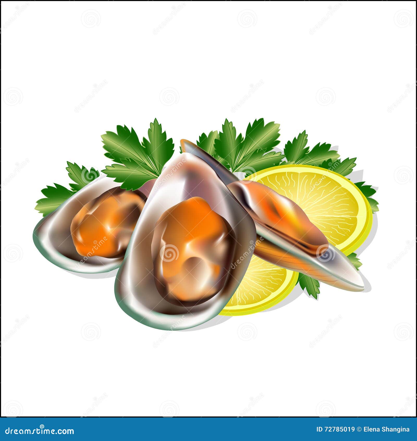 A Set from Seafood, Mussels with Greens. Stock Vector - Illustration of ...