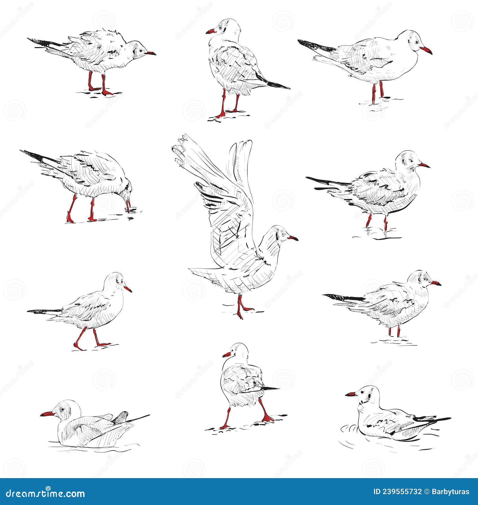 Seagulls Sketch. Pencil Drawing By Hand. Vector | CartoonDealer.com ...