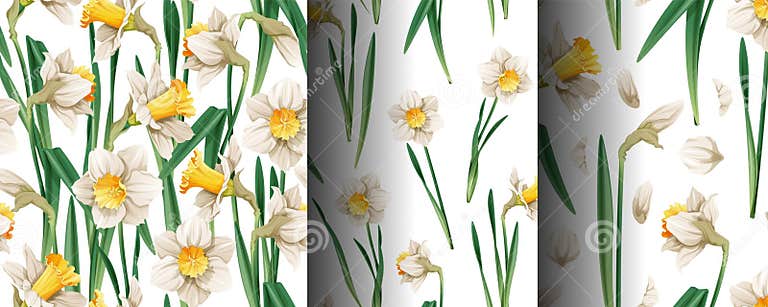 Set of Seamless Patterns with Spring Flowers. Texture with Daffodils ...