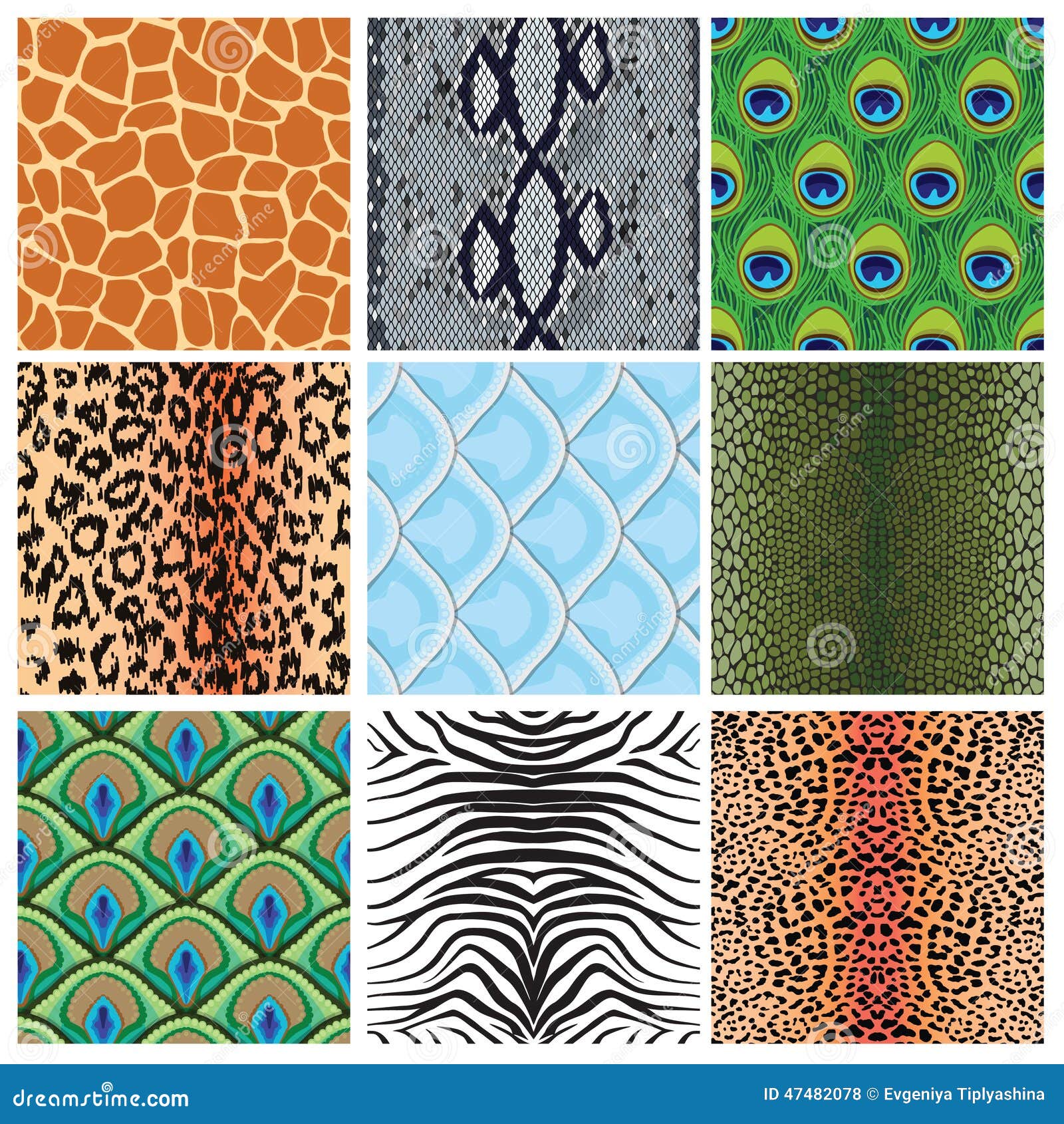 Textures Animal Stock Photo | CartoonDealer.com #1639224