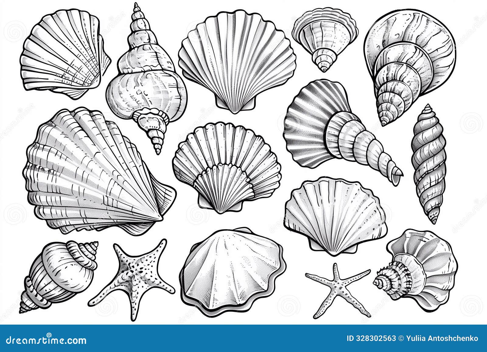 A Set of Seashells Coloring Pages. Black and White Contour Shells Stock ...