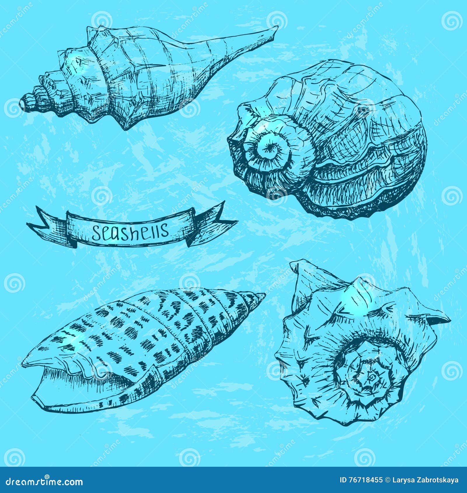 Set of Seashells stock vector. Illustration of sketch - 76718455