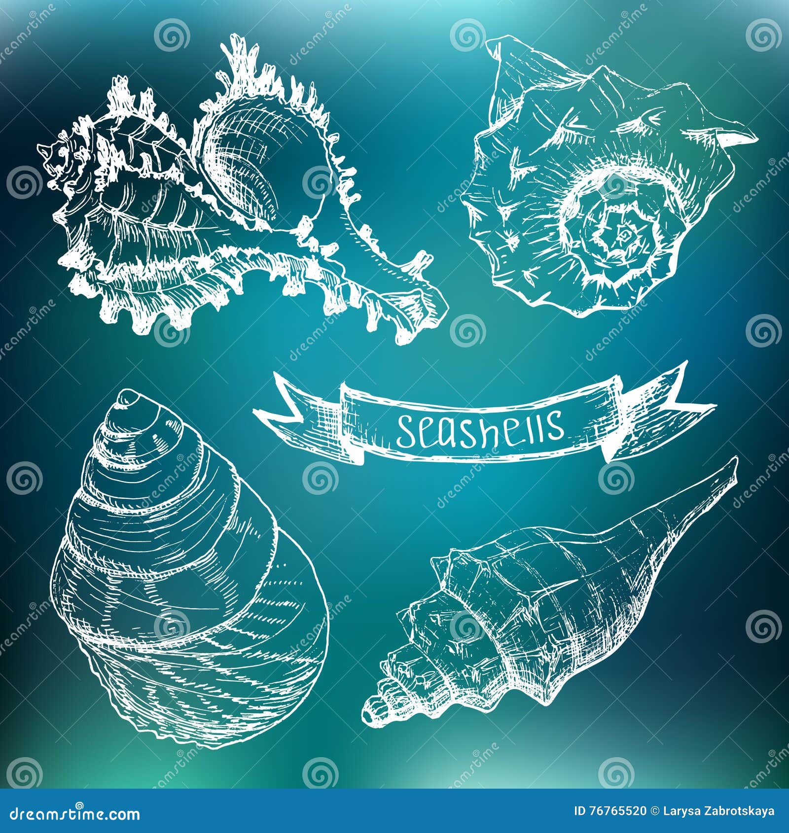 Set of Seashells stock vector. Illustration of ocean - 76765520