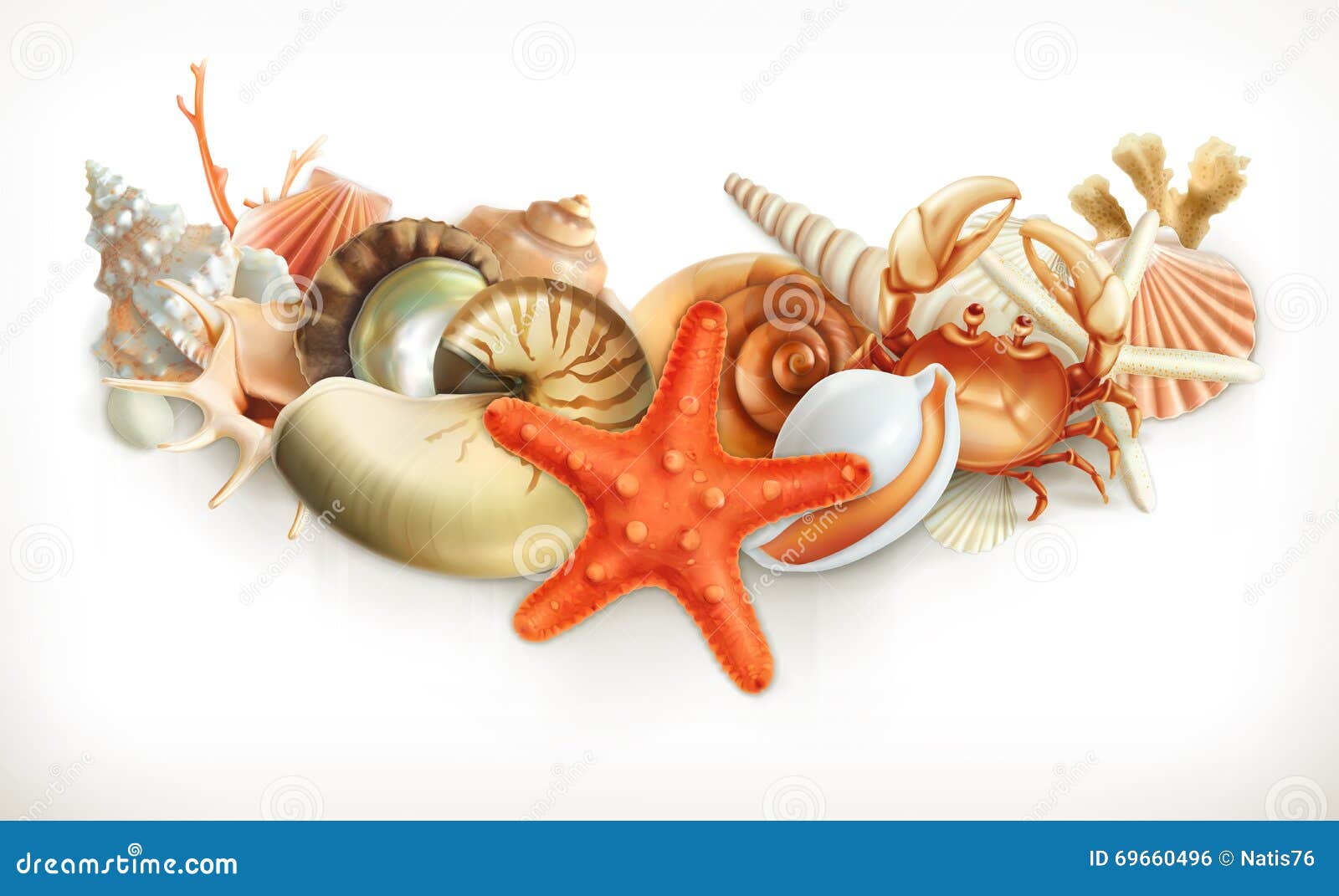 Set of Seashells Illustration Stock Vector - Illustration of element ...