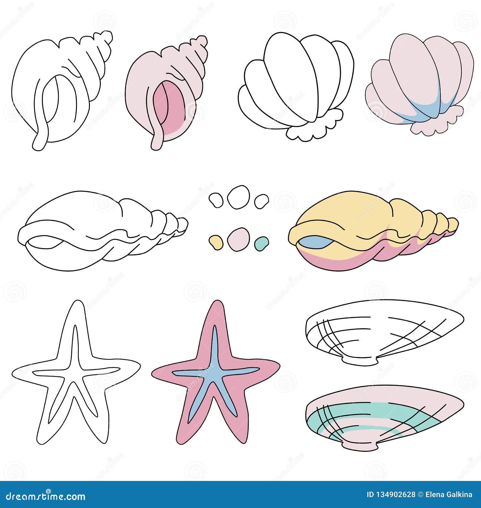 Set of Seashells Vector Elements Stock Vector - Illustration of cartoon ...