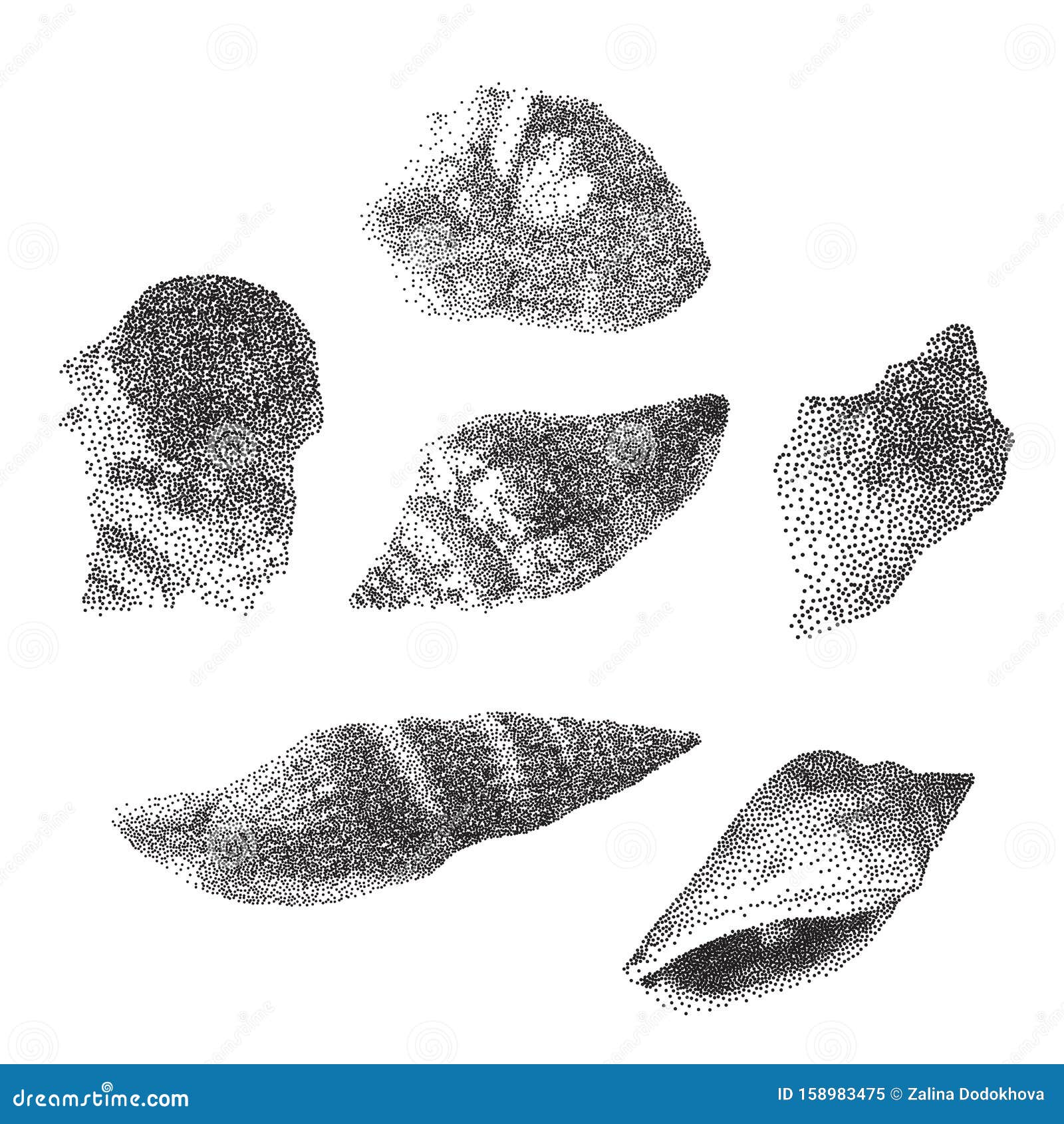 Set of Seashells on White Background, Seashells in Pointillism Style ...