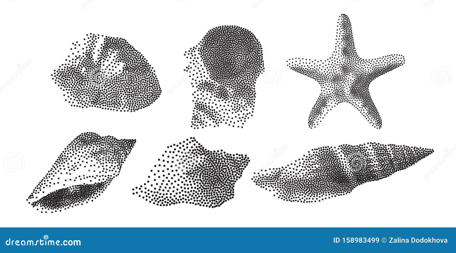 Set of Seashells on White Background, Seashells in Pointillism Style ...