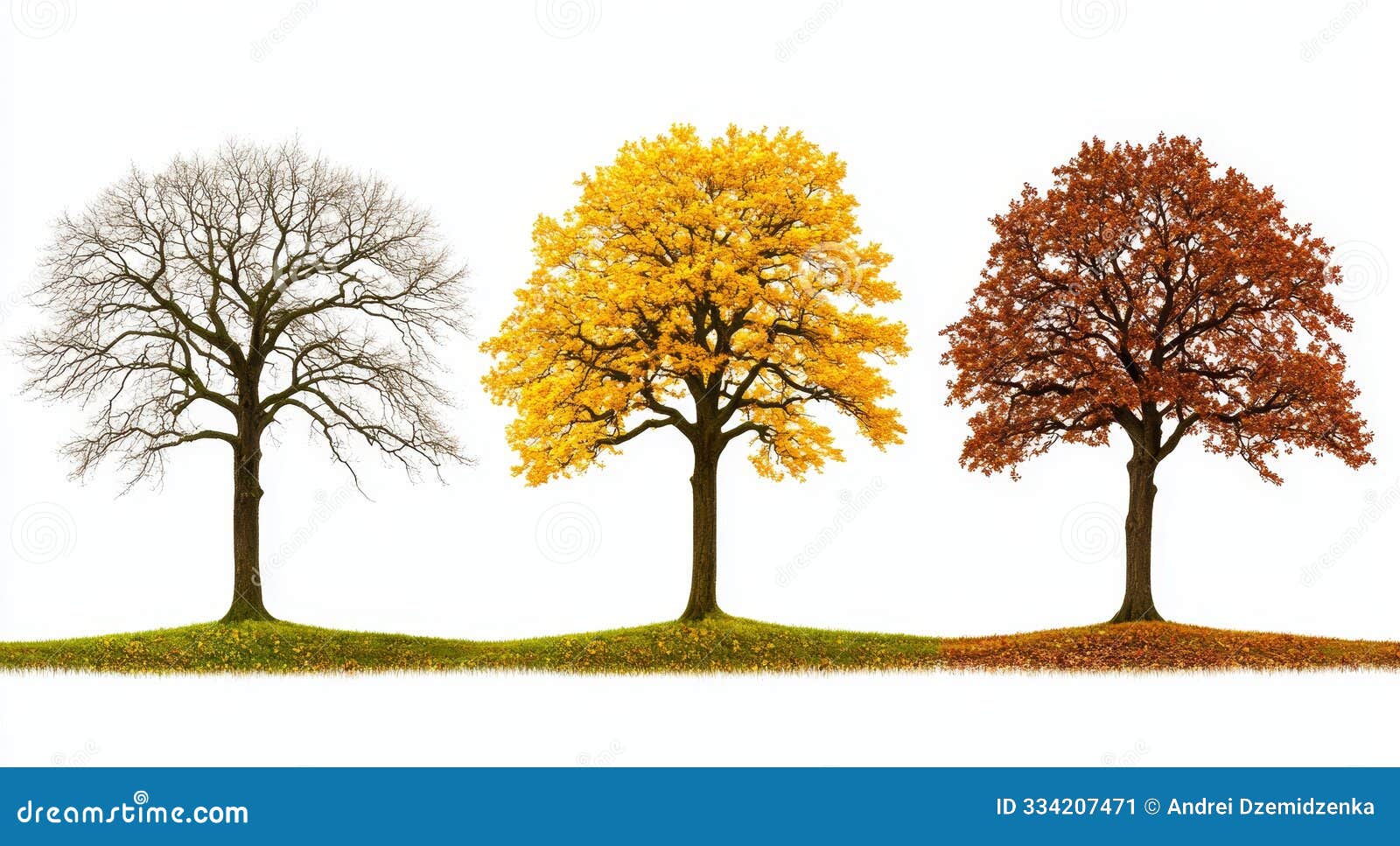 A Set of Seasonal Colors Trees Cutout Backgrounds Rendered in 3D Stock ...
