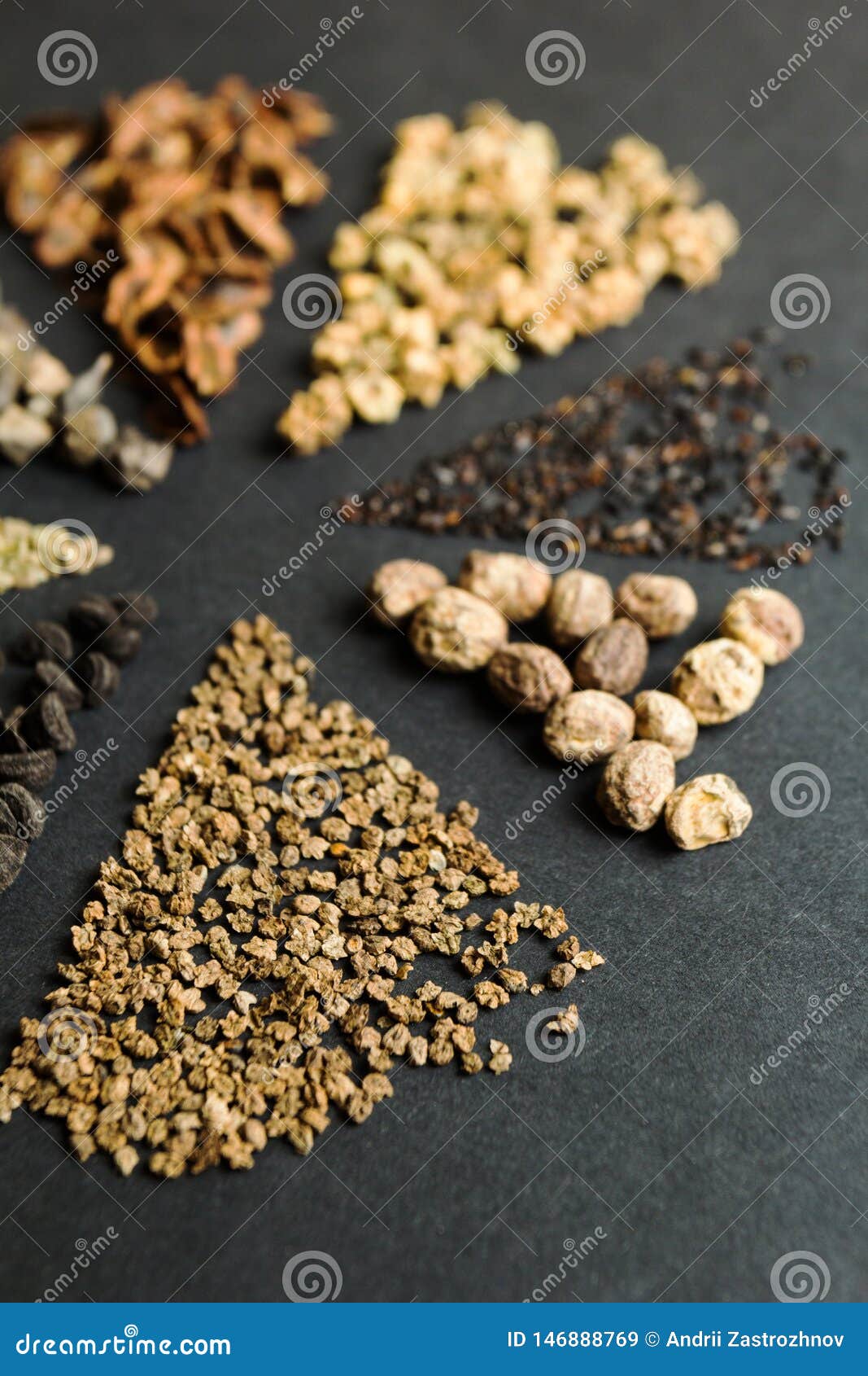 Set of Seeds on a Black Background, Vertical, Selective Focus Stock ...
