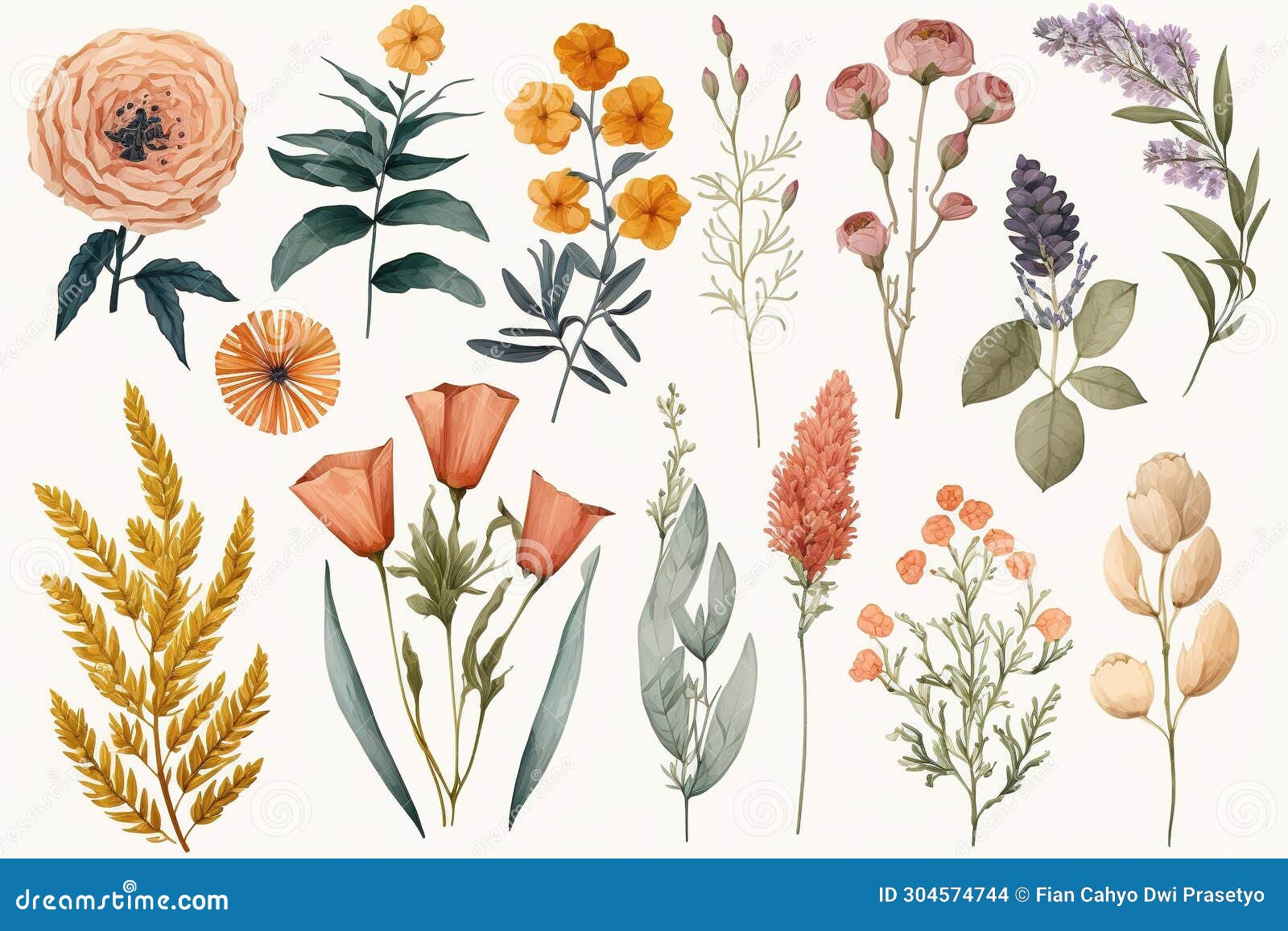 Set of Separate Parts of Flowers in Watercolors Stock Illustration ...