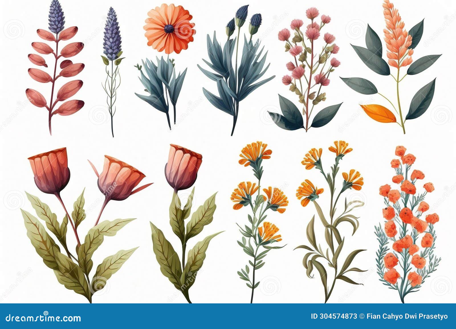 Set of Separate Parts of Flowers in Watercolors Stock Image - Image of ...