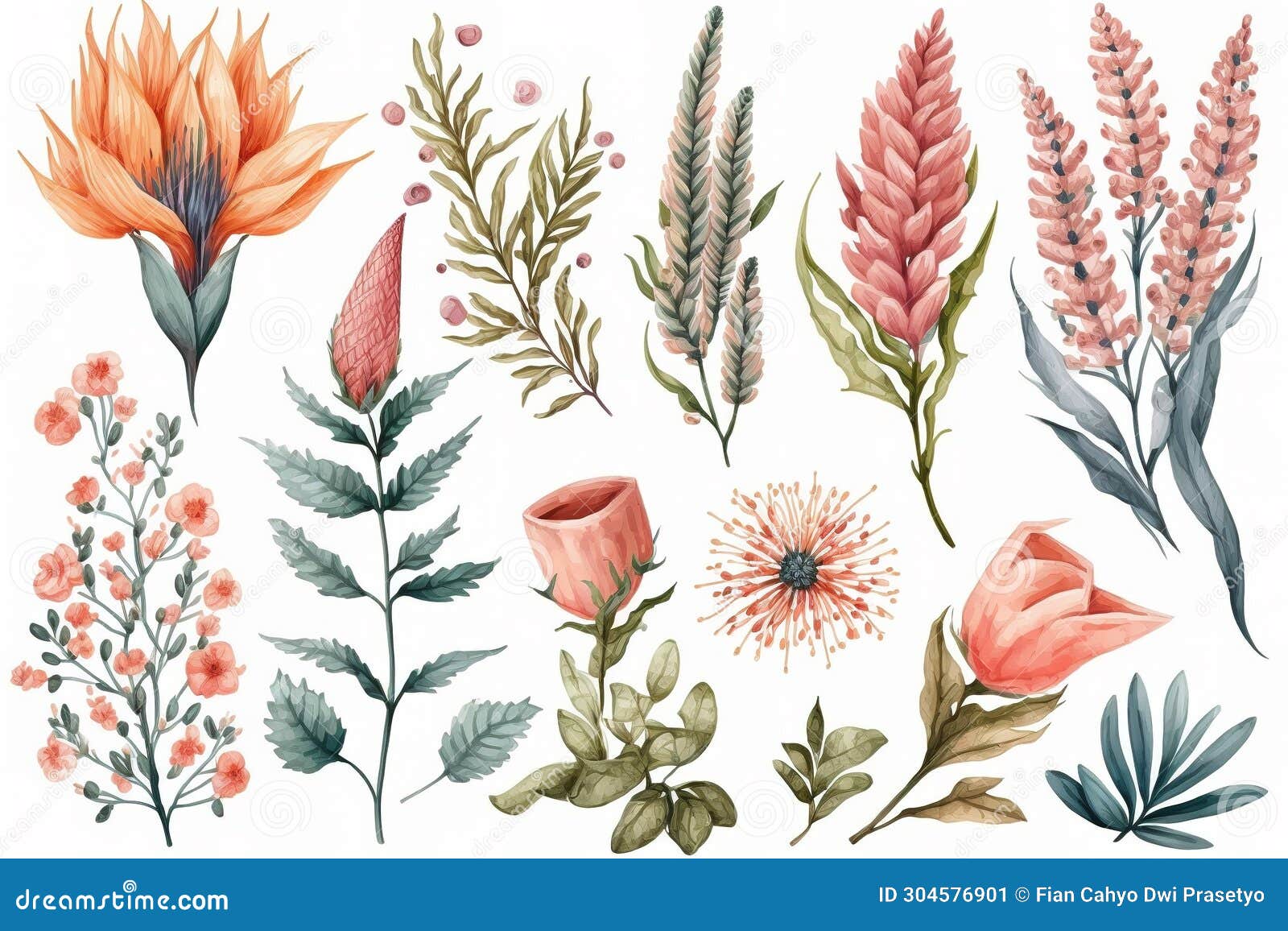 Set of Separate Parts of Flowers in Watercolors Stock Image - Image of ...