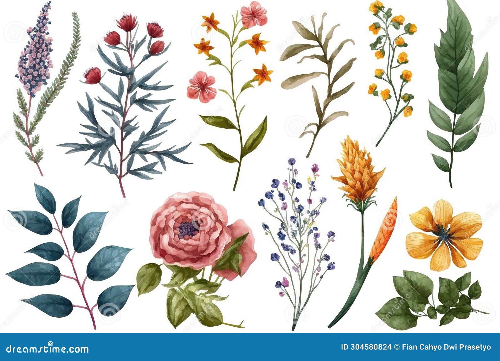 Set of Separate Parts of Flowers in Watercolors Stock Photo - Image of ...