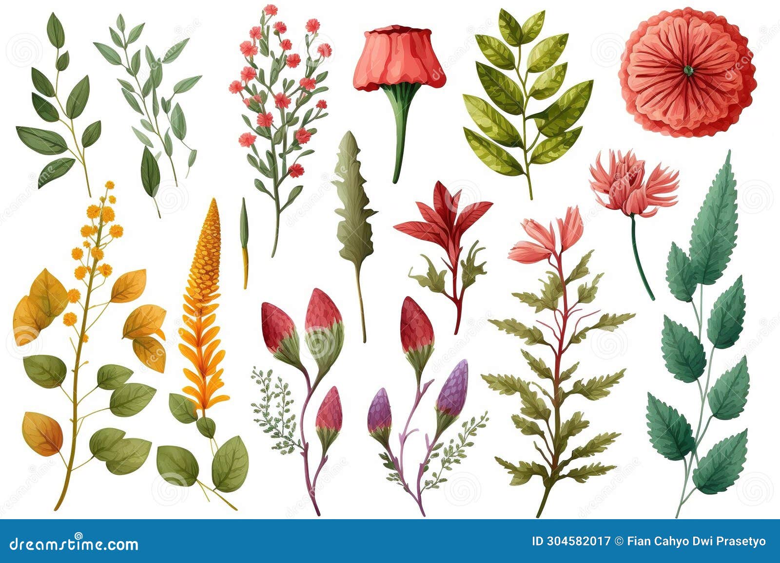 Set of Separate Parts of Flowers in Watercolors Stock Illustration ...