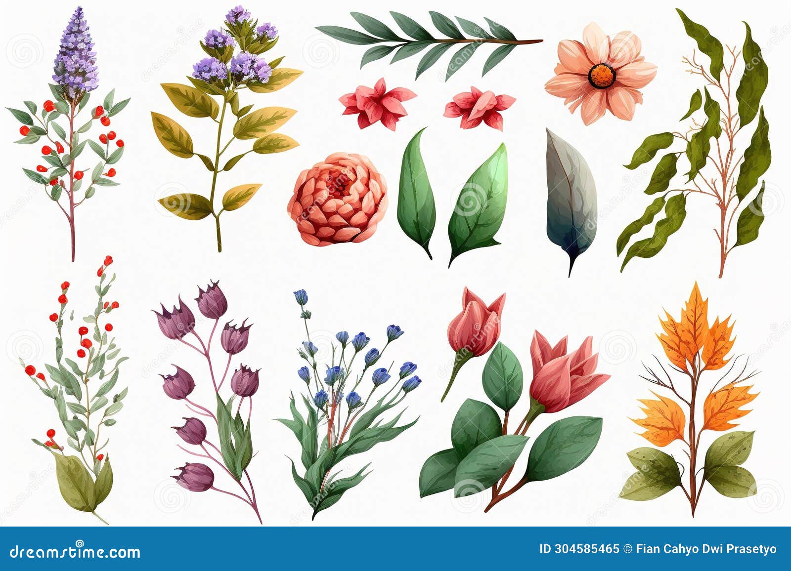 Set of Separate Parts of Flowers in Watercolors Stock Illustration ...