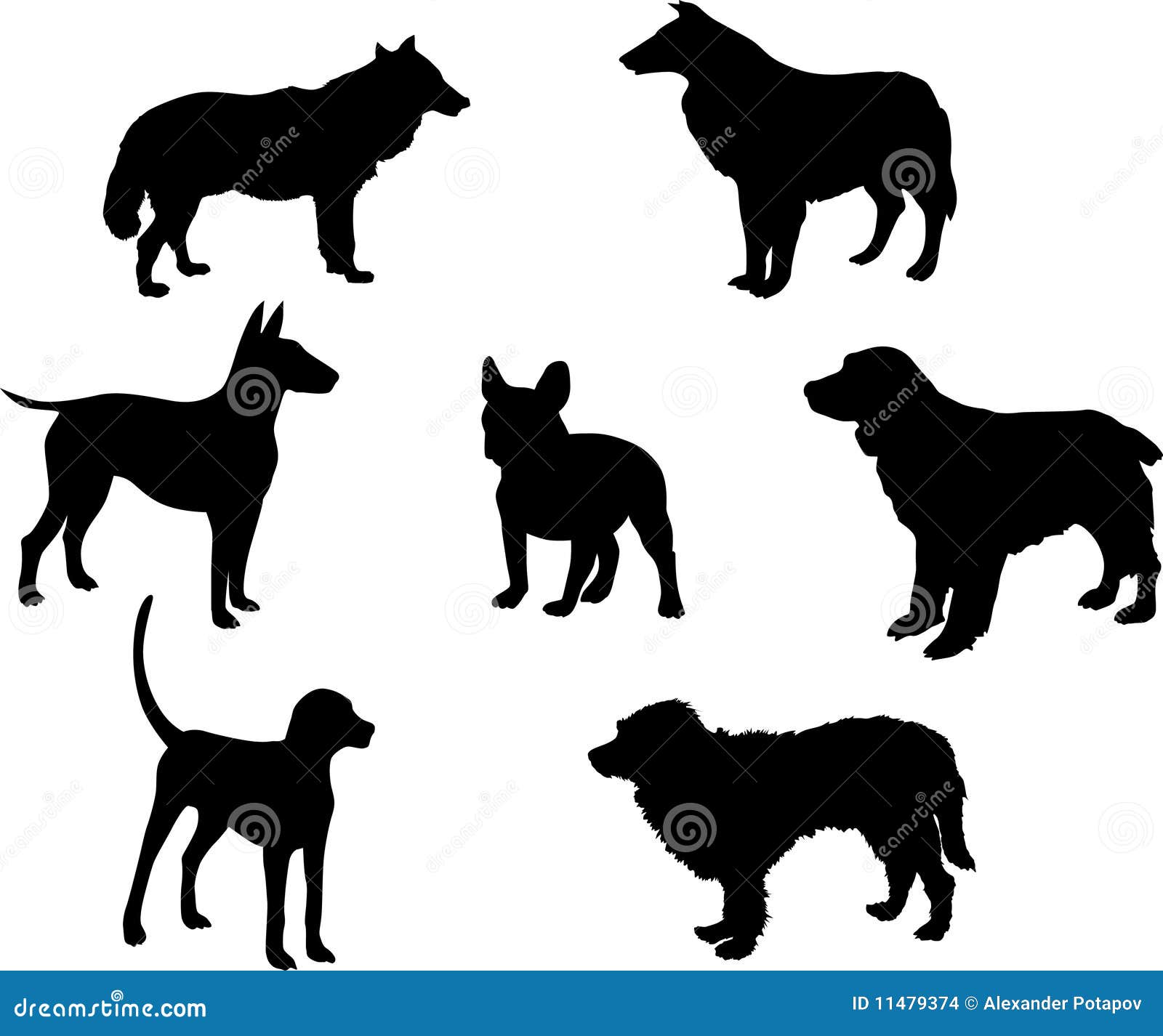 Set of seven dogs stock illustration. Illustration of design - 11479374