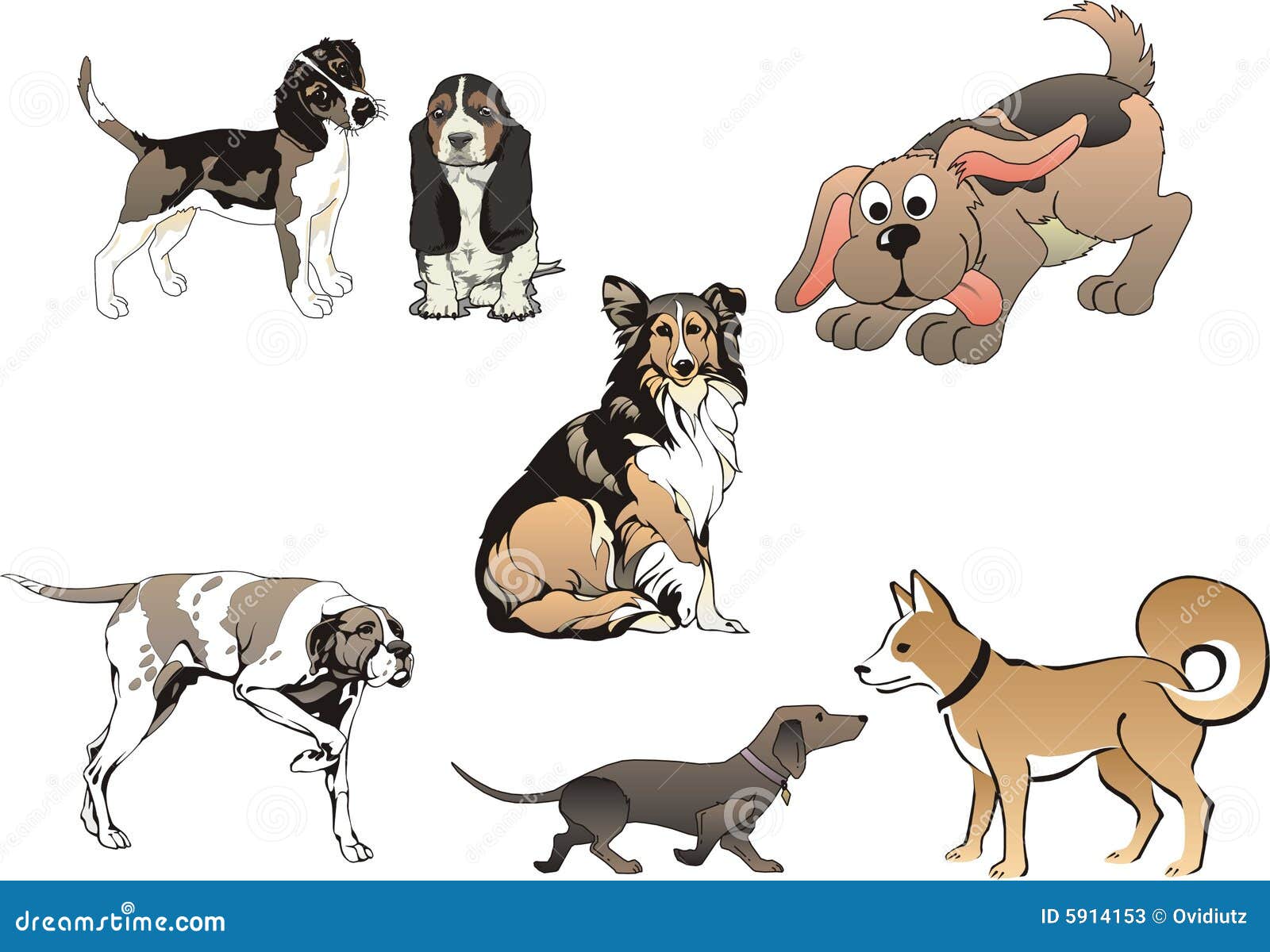 Set of seven dogs - vector stock vector. Illustration of animal - 5914153