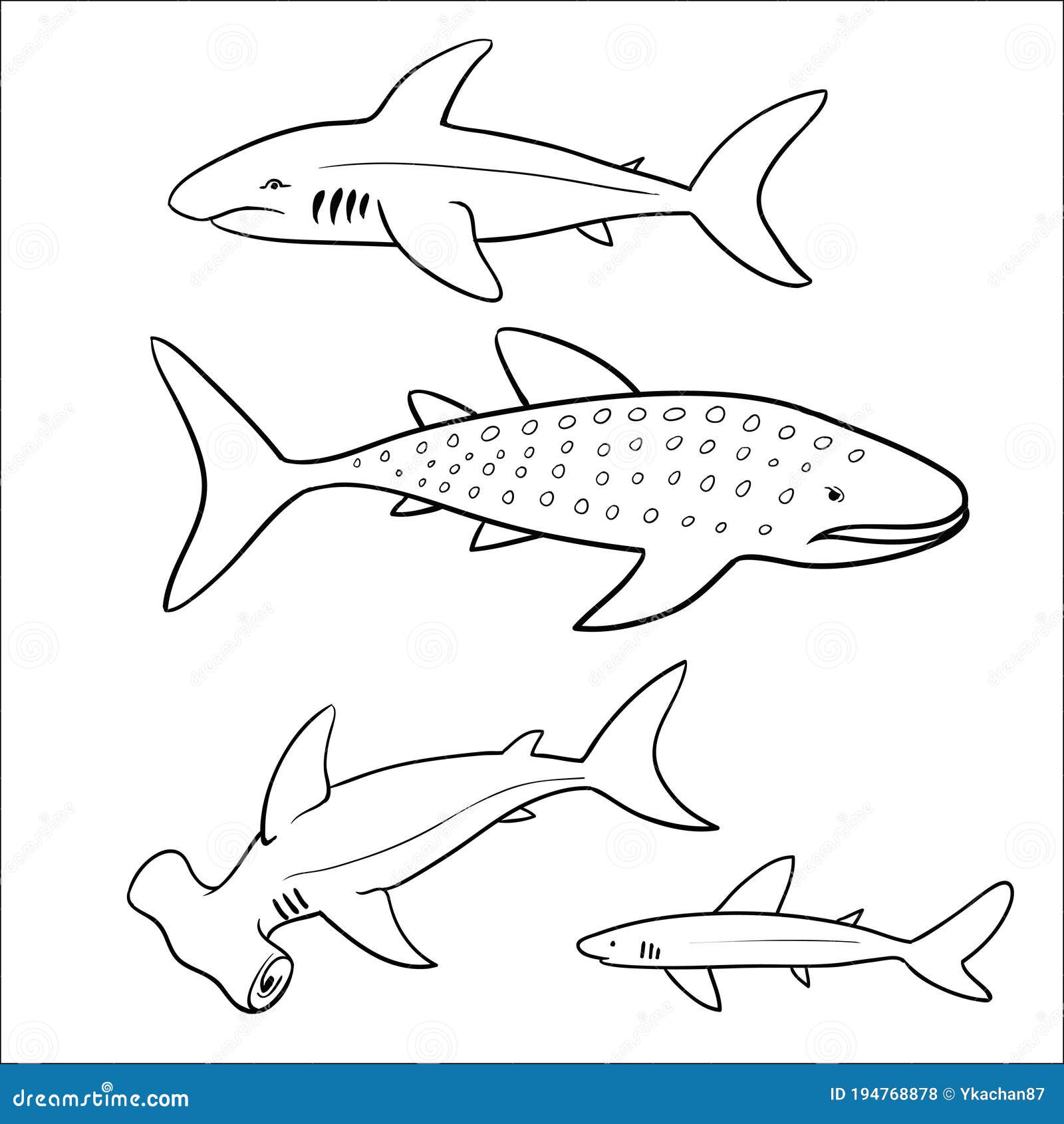Set of Shark Types. Vector Illustration Stock Vector - Illustration of ...