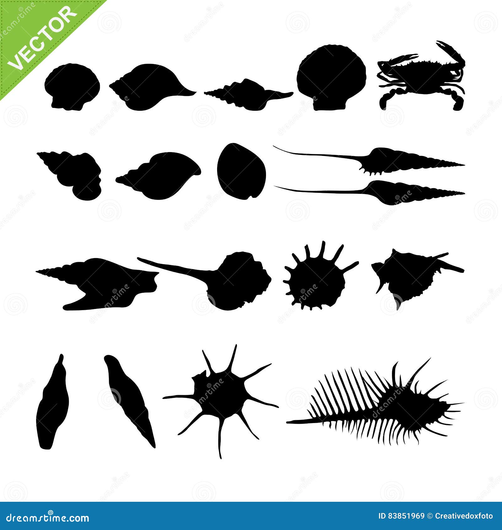 Shell silhouettes vector stock vector. Illustration of eps10 - 83851969