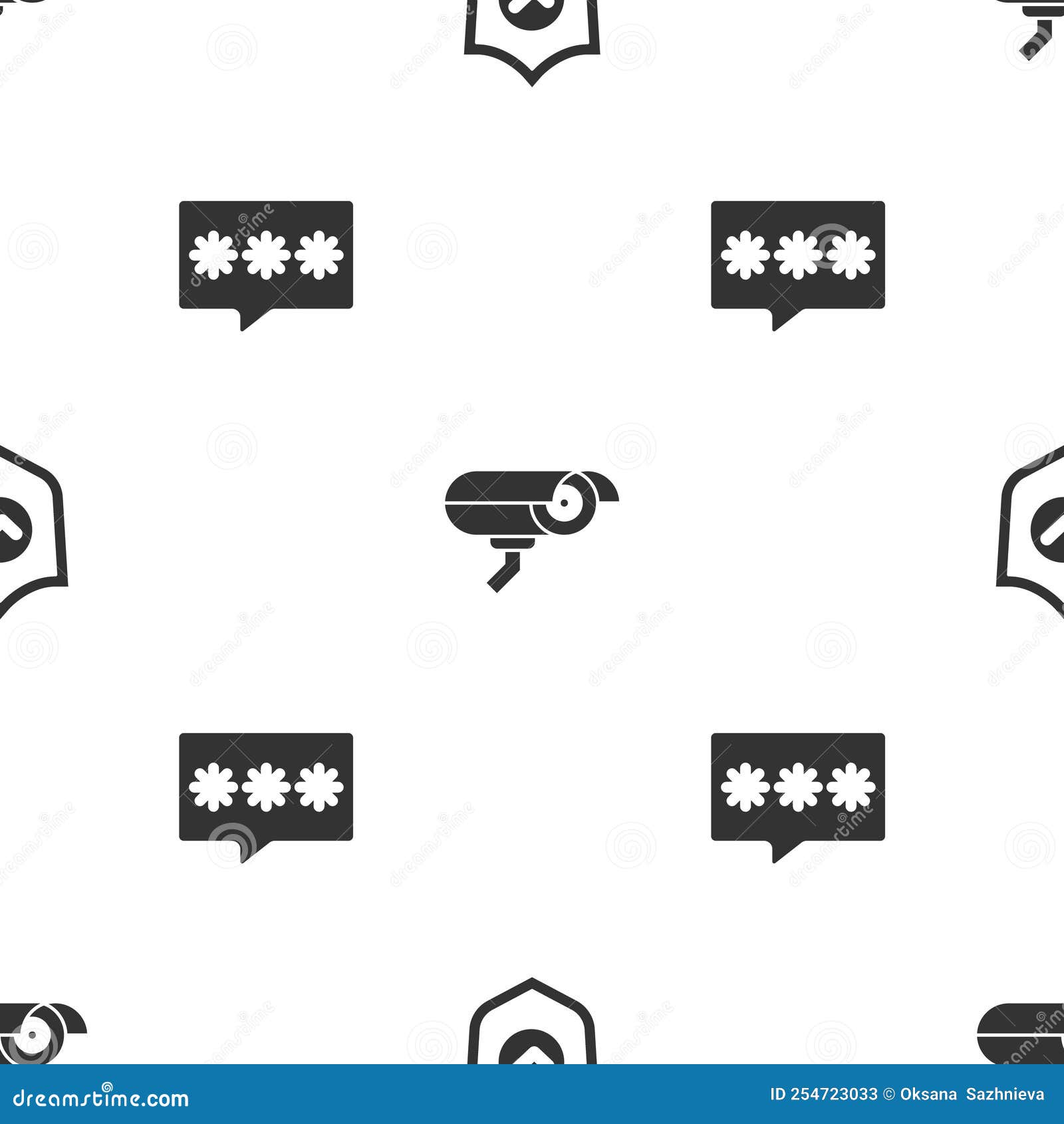 Set Shield With Check Mark Security Camera And Password Protection On