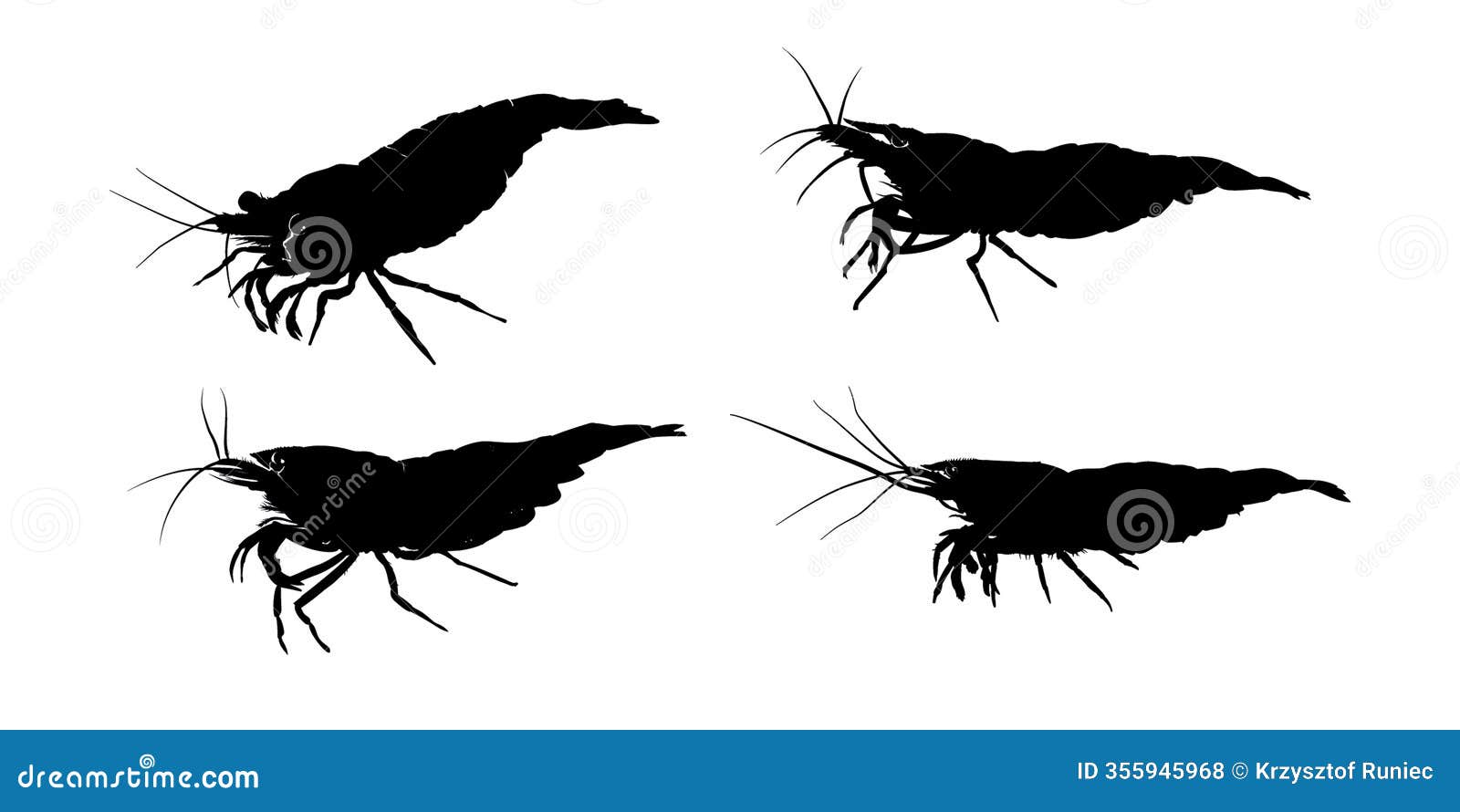 Set of Shrimp Silhouette, Side View Stock Vector - Illustration of ...
