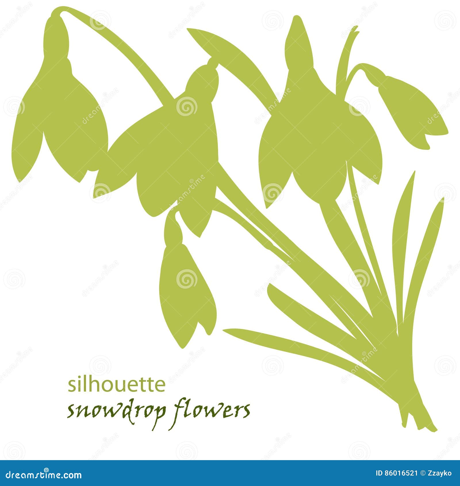 Set Silhouette Beautiful Snowdrop Flowers Stock Illustration ...