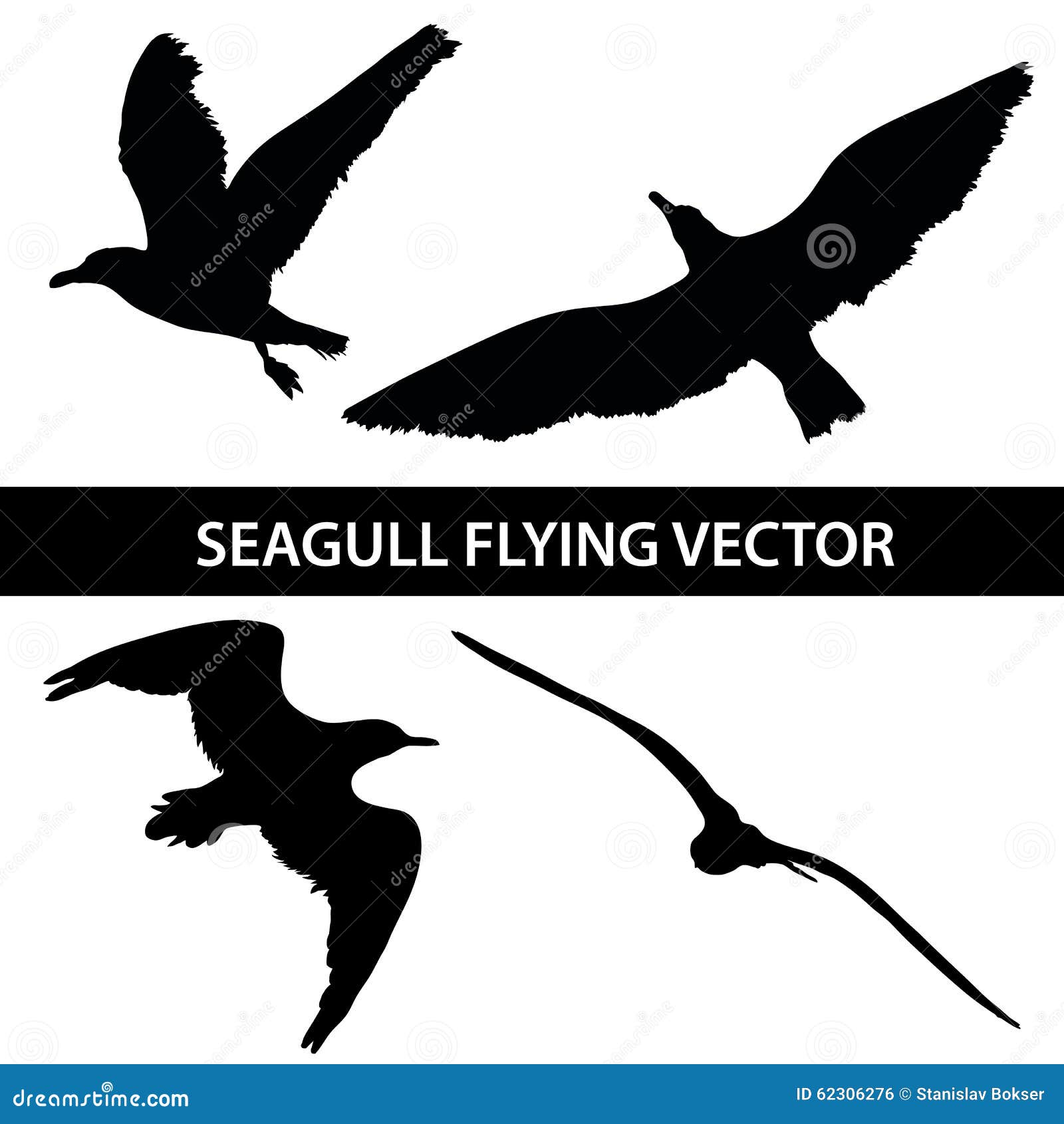 Seagull Flying. Design Silhouette. Logo Vector Illustration ...