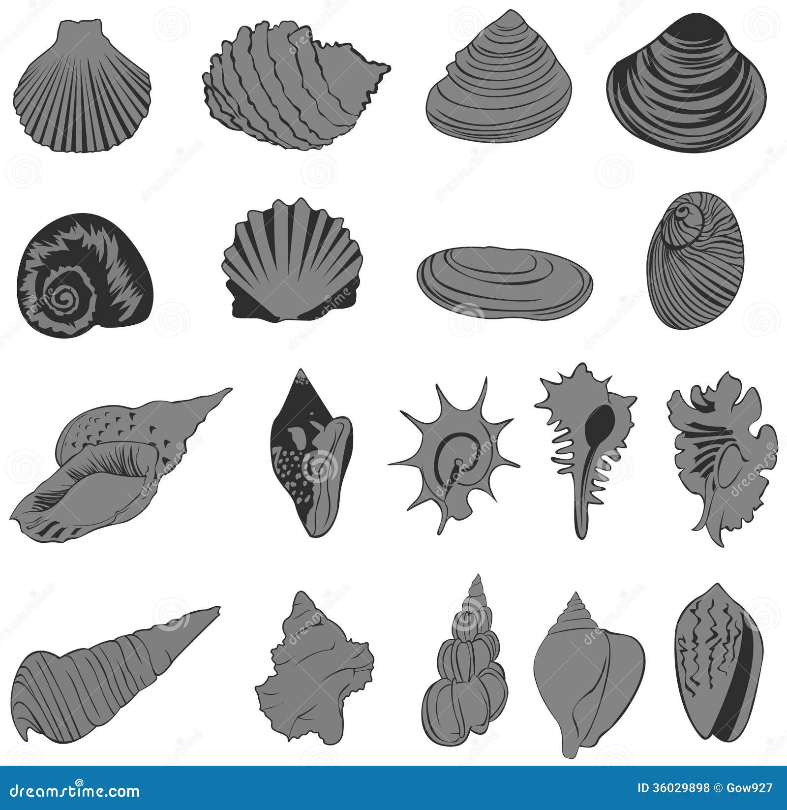 Set of Silhouette Shell Icons Stock Vector - Illustration of seashore ...