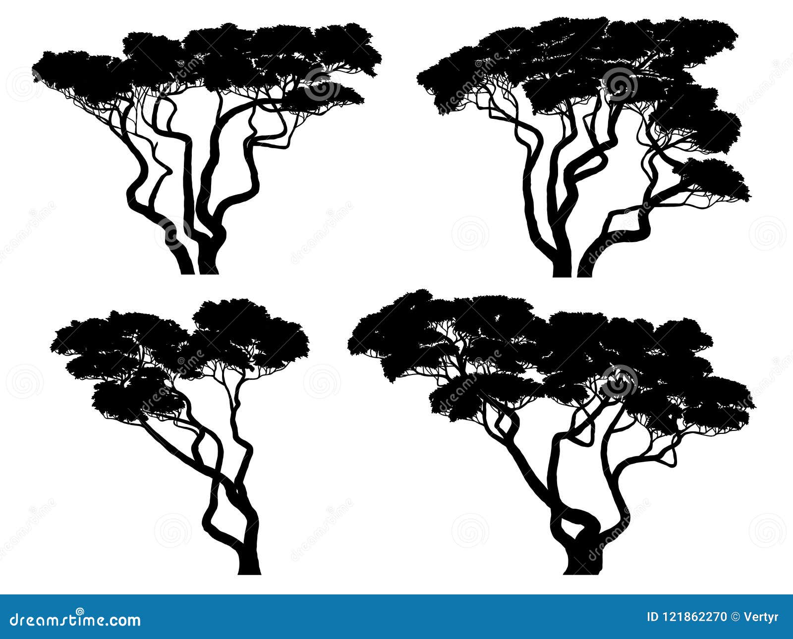 Set Of Silhouettes Of African Acacia Trees. Vector Illustration ...