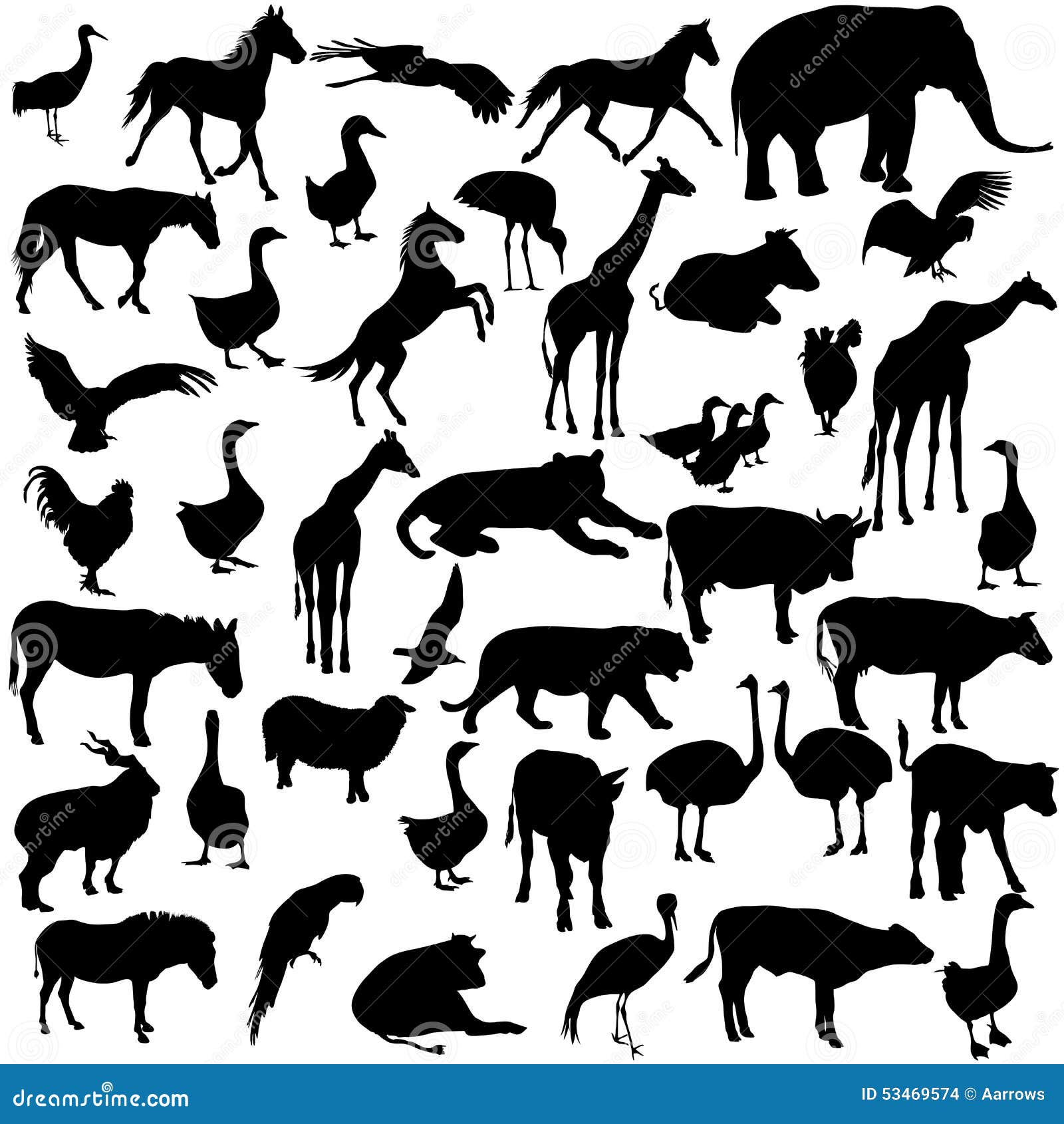 Set Silhouettes Animals And Birds In The Zoo Vector Illustration ...
