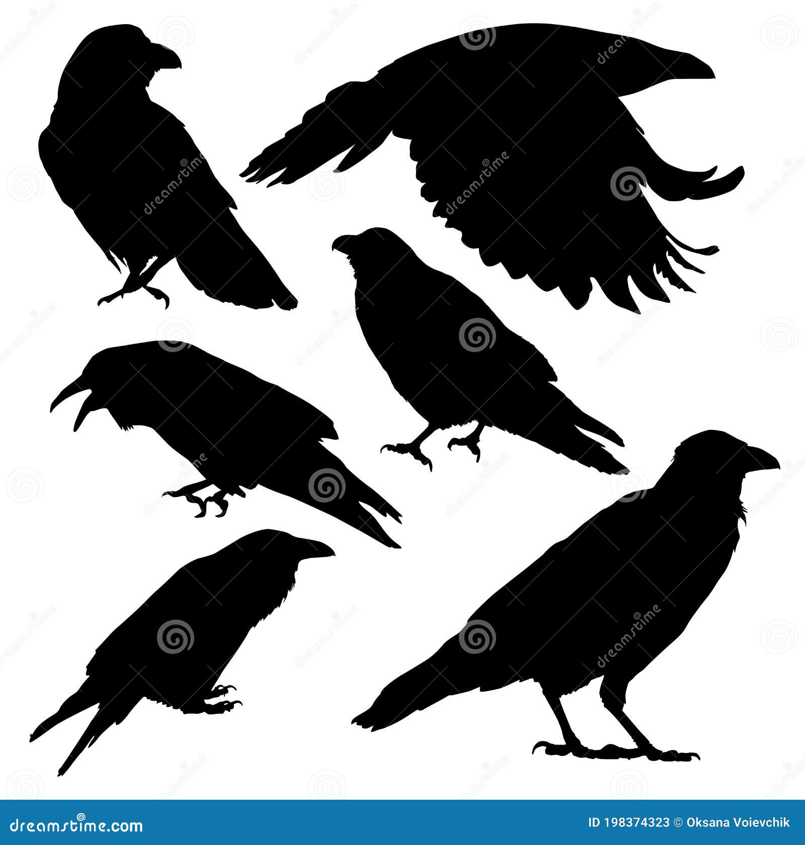 Crow Silhouettes Cartoon Vector | CartoonDealer.com #103258991