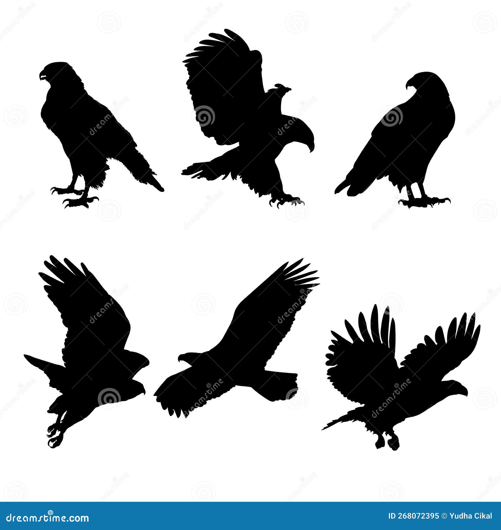 Set of Silhouettes of Eagles Vector Design White Isolated Background ...