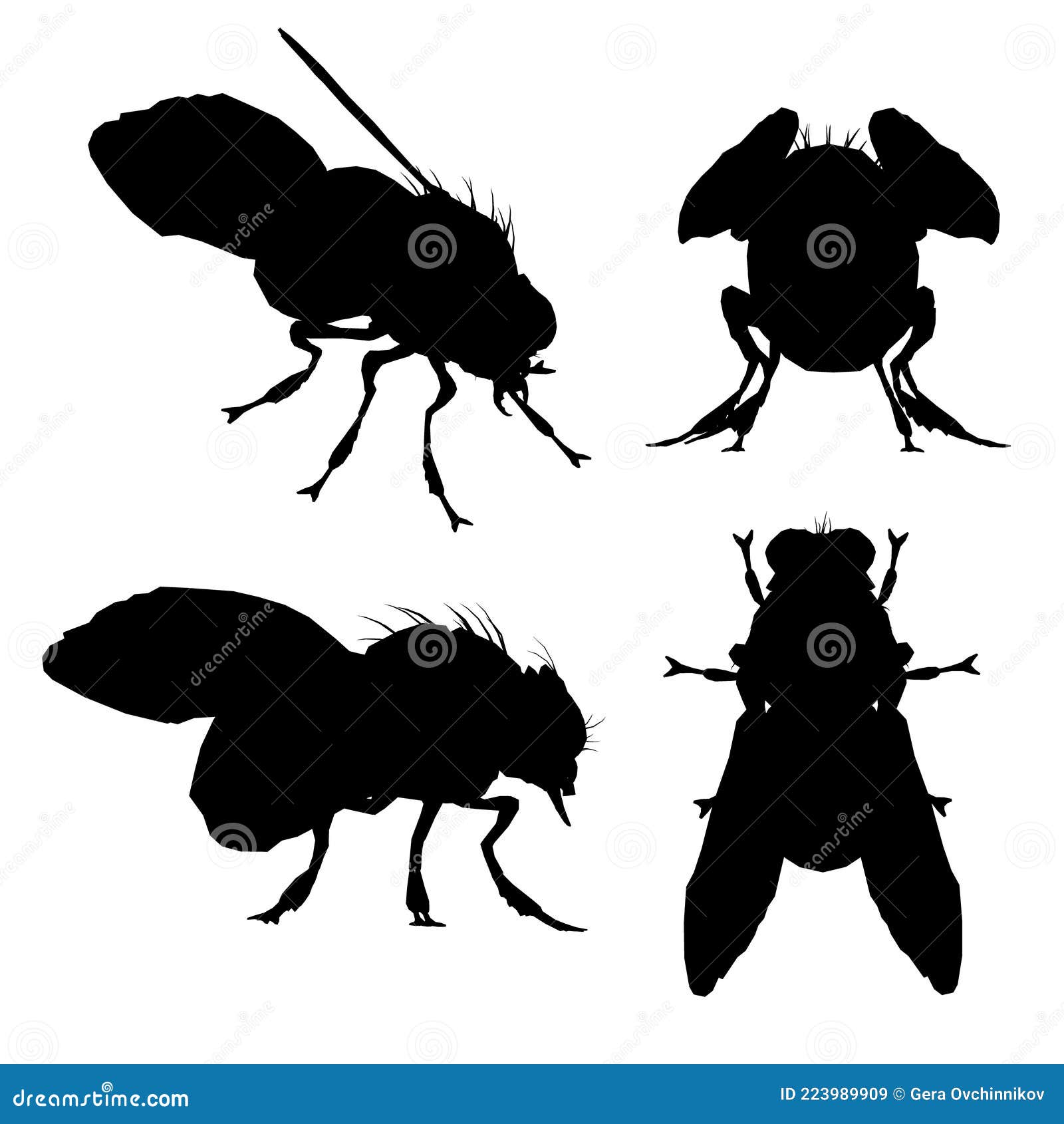 Set with Silhouettes of Flies in Different Positions Isolated on White ...