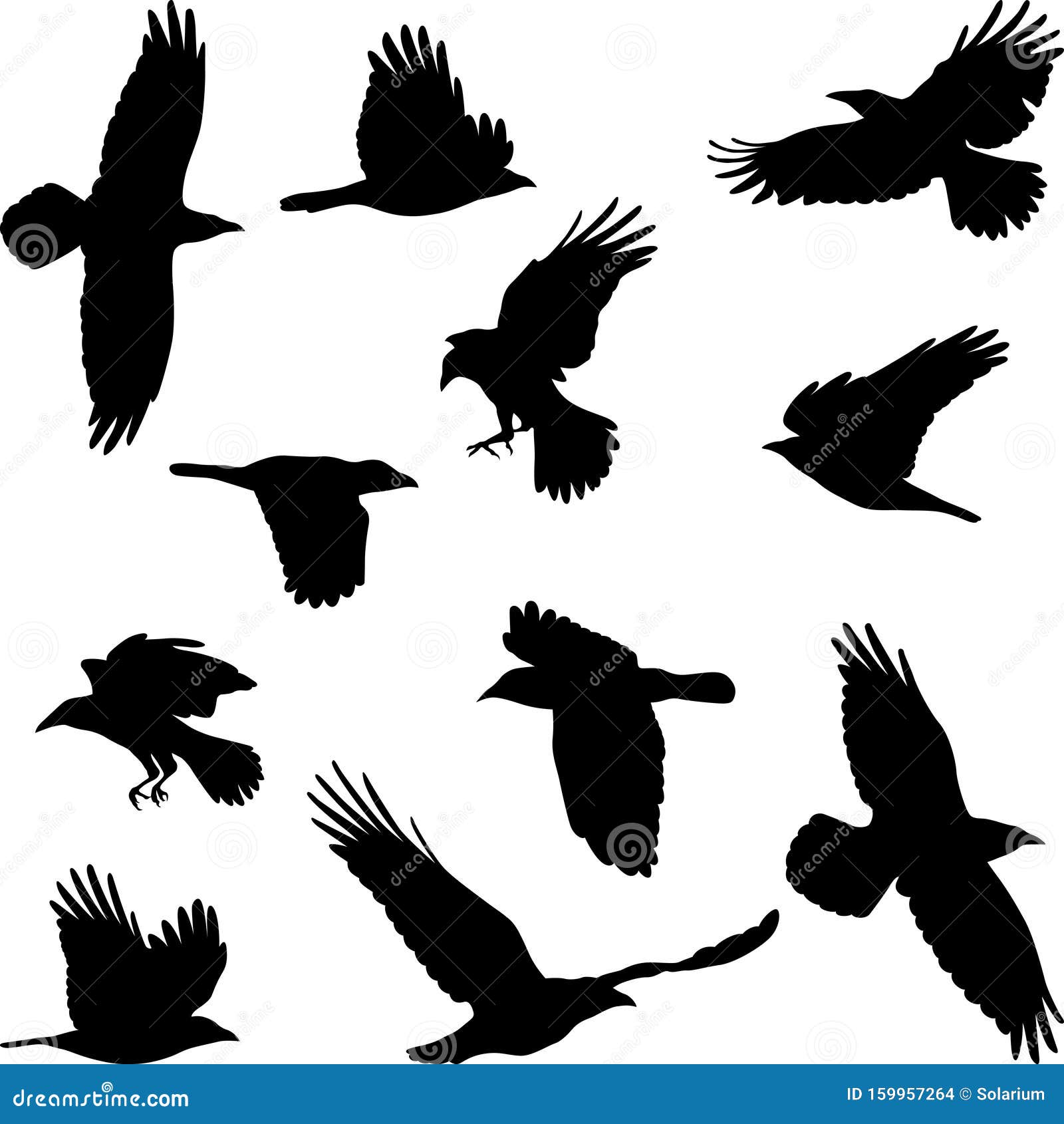 Corvids Cartoons, Illustrations & Vector Stock Images - 35 Pictures to ...