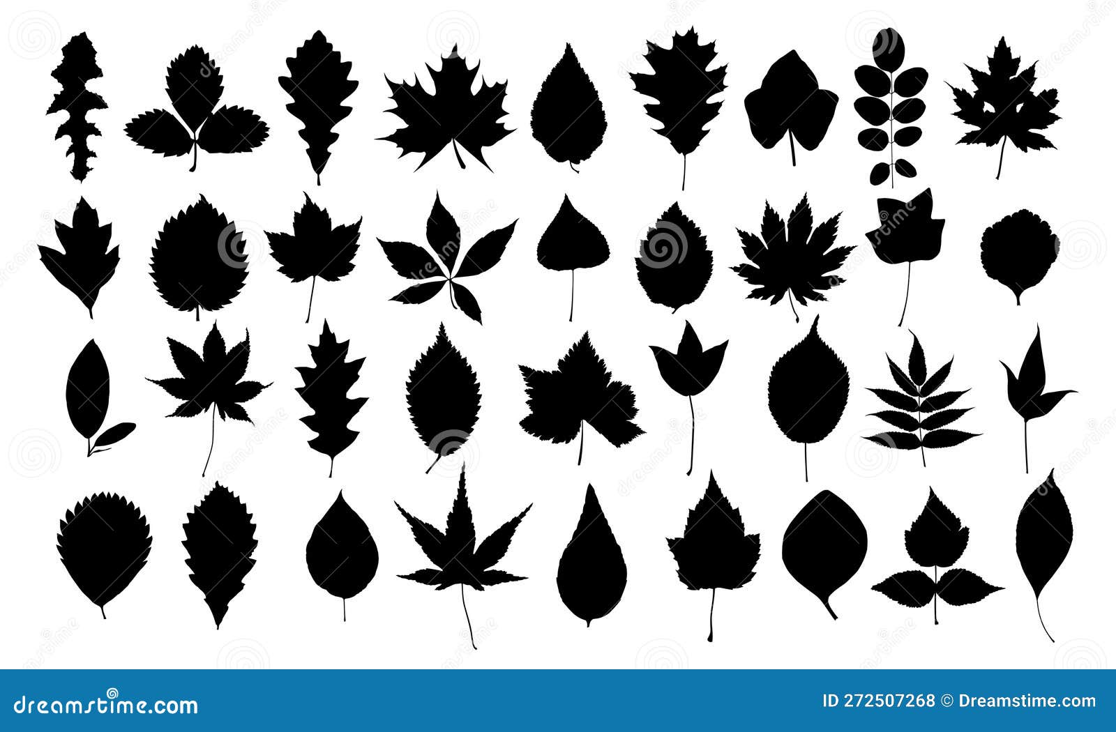 A Set of Silhouettes Leaves of Trees. Stock Vector - Illustration of ...