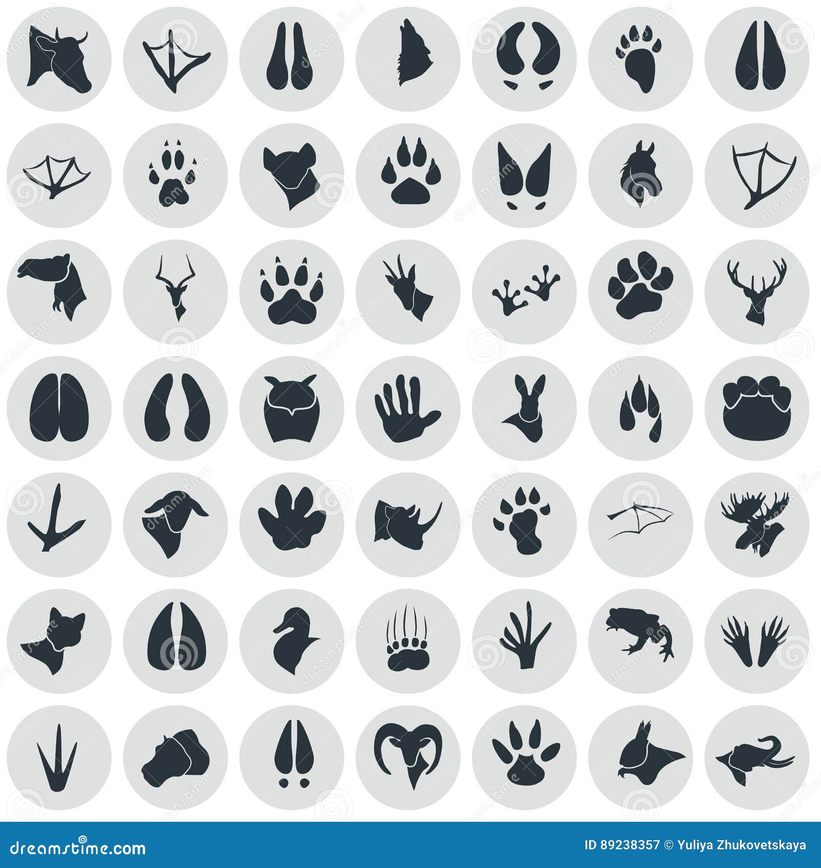 Set of Simple Animals Icons Stock Illustration - Illustration of nature ...