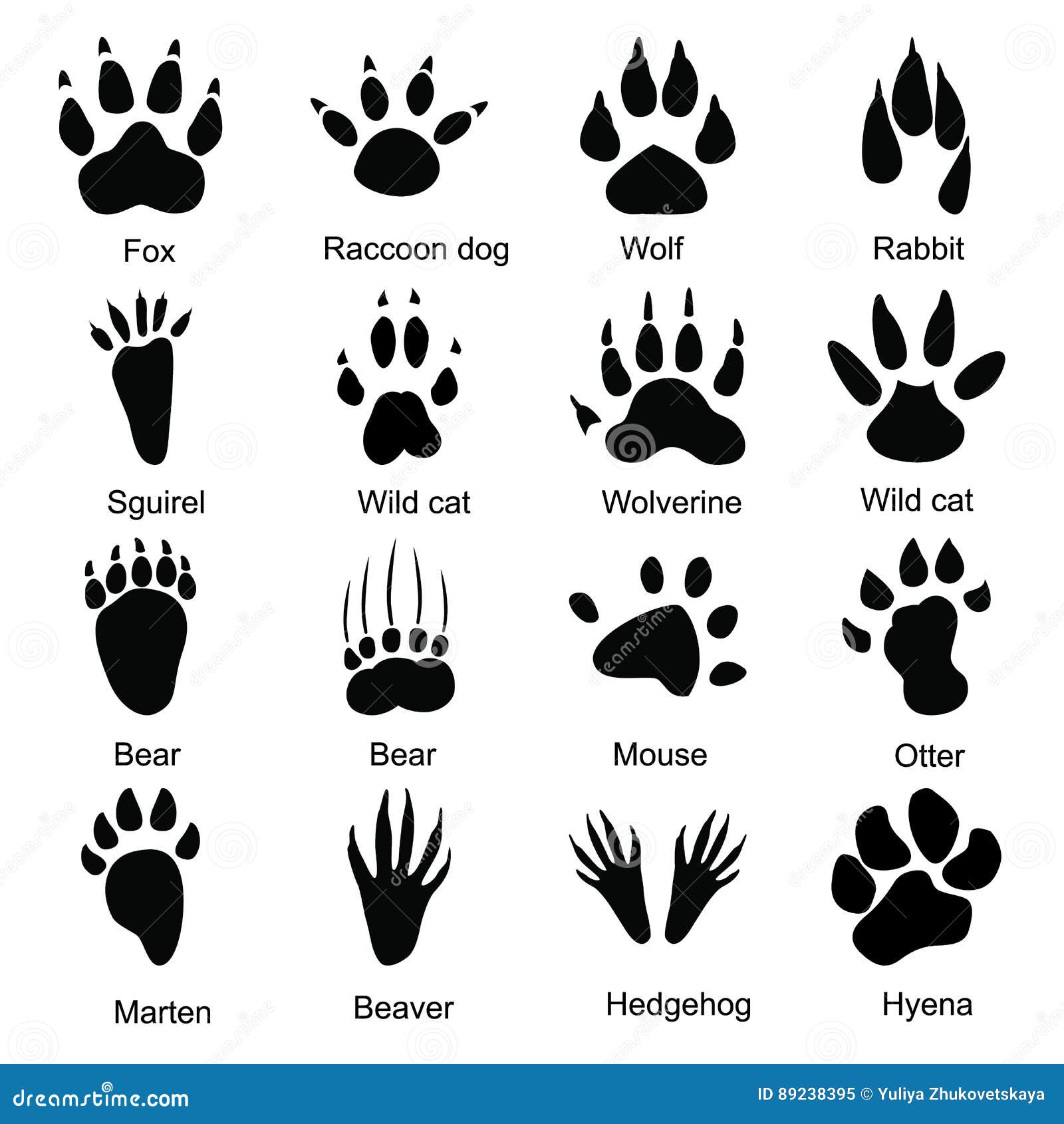 Set of Simple Animals Paw Prints Icons Stock Illustration ...
