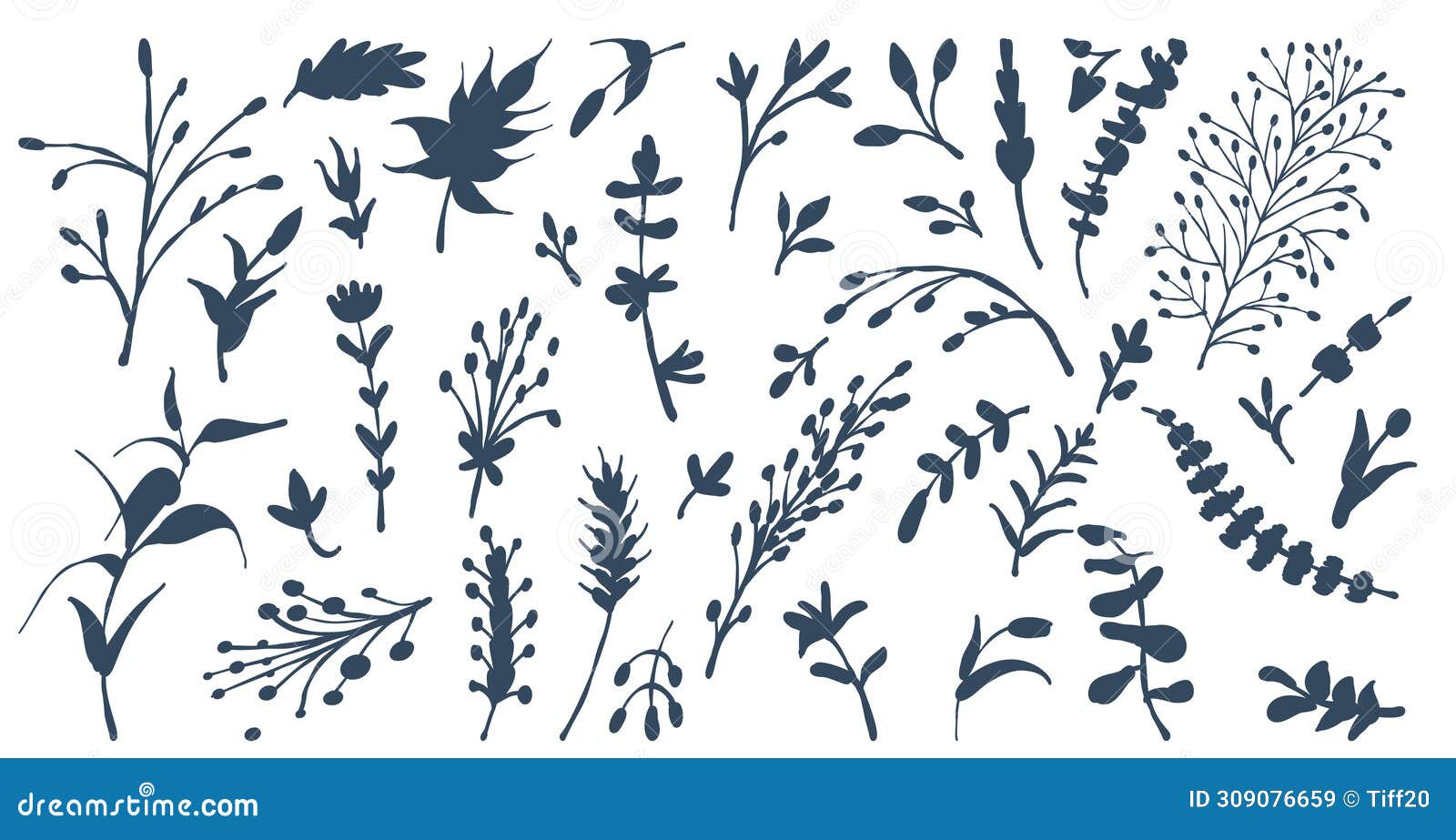 A Set of Simple Branches from Different Plants. Stencils for Cutting ...