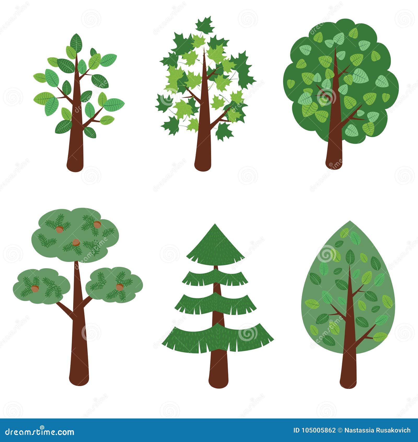 Set of Simple Cartoon Deciduous Trees and Conifers , Vector ...