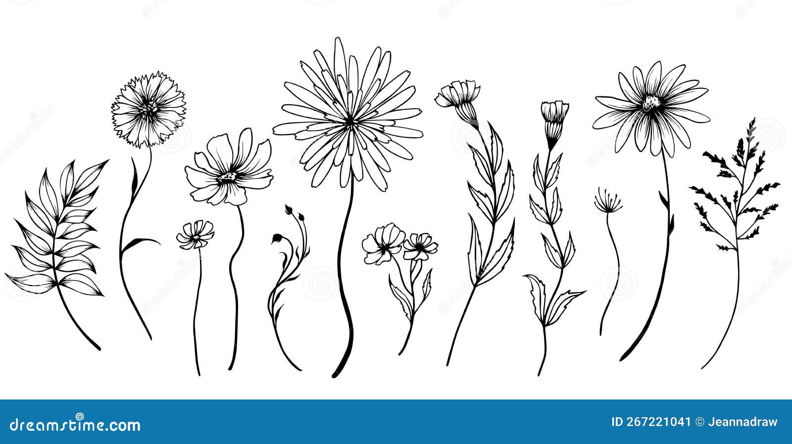 Set of Simple Decorative Wild Flowers. Stock Vector - Illustration of ...