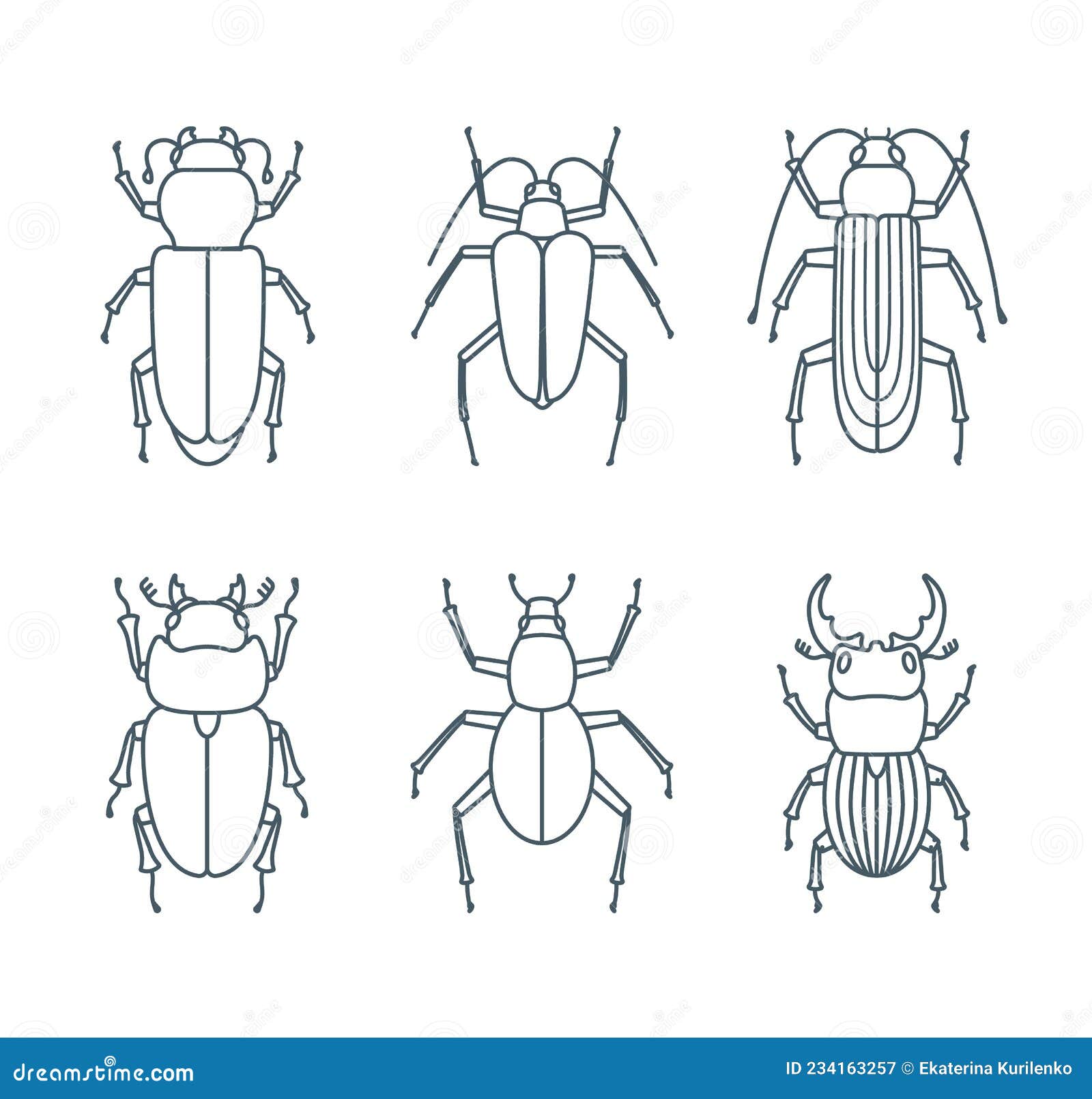 The Outline Of The Beetle In Cartoon Style. Sketch. Vector Isolated ...
