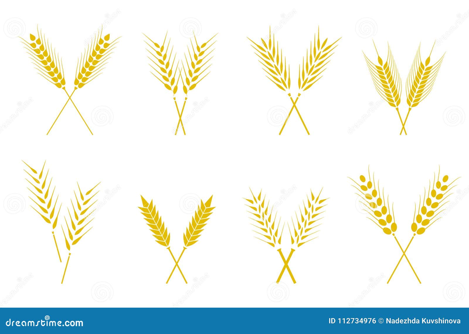 Set of Simple Wheats Ears Icons and Wheat Design Elements. Stock Vector ...