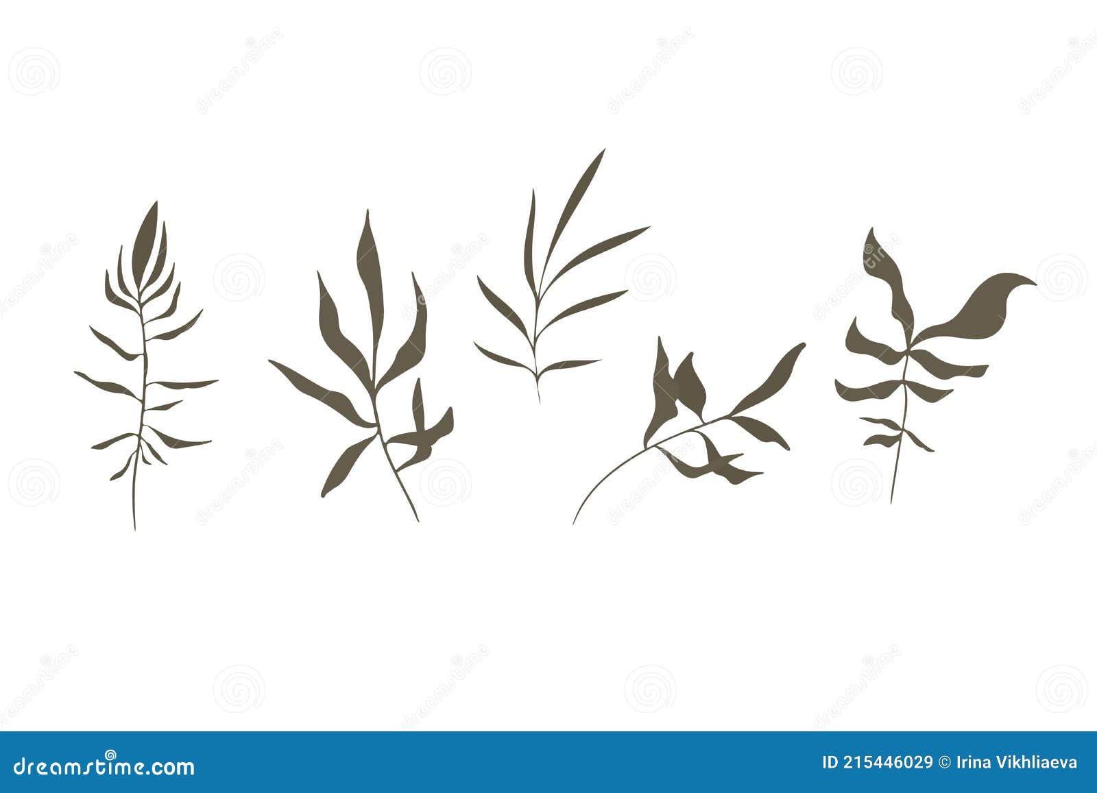 Set of Single Leaves on a White Background. Different Shapes for Your ...