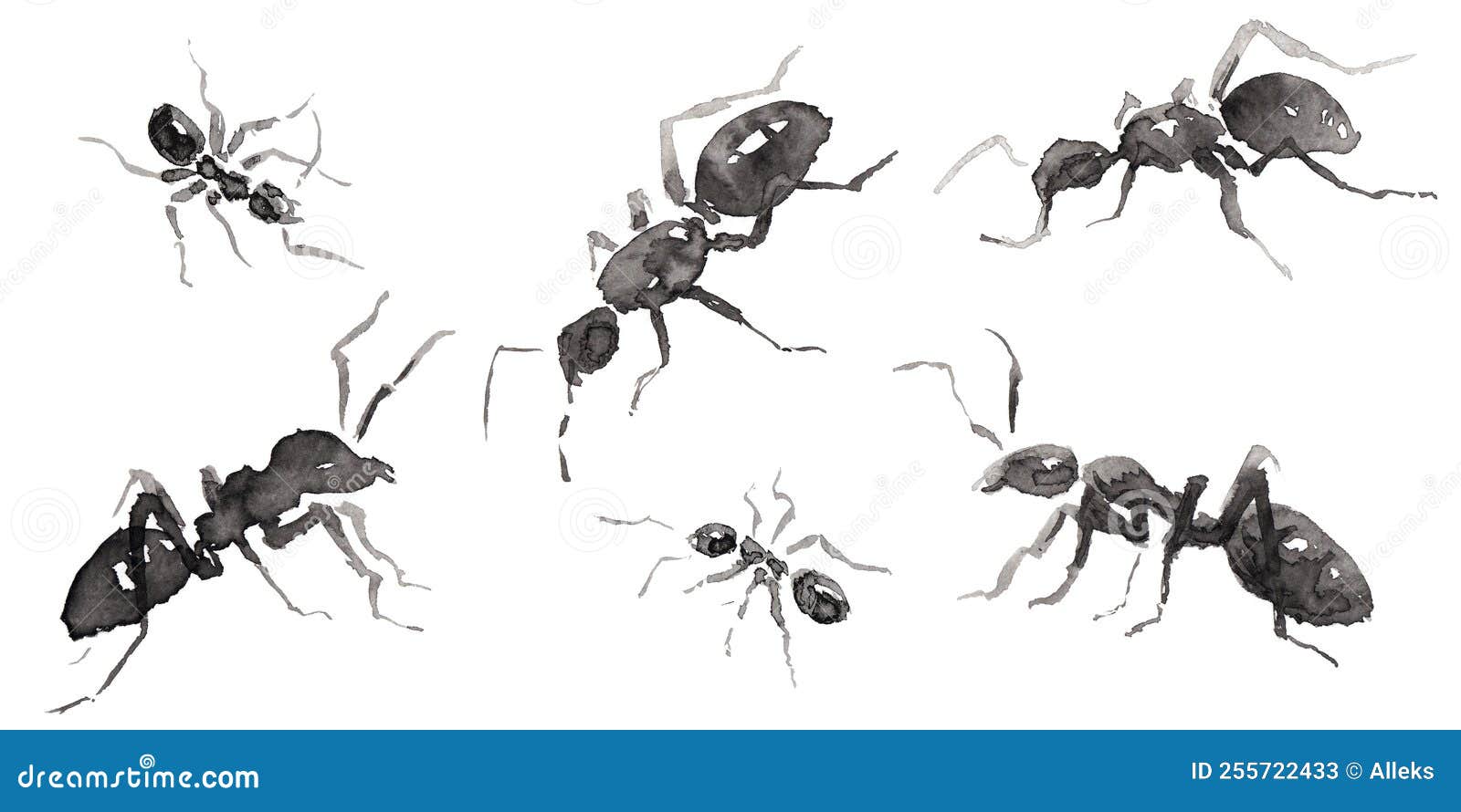 Set 10 with Six Differents Forms Ant Isolated on White. Hand Drawn ...