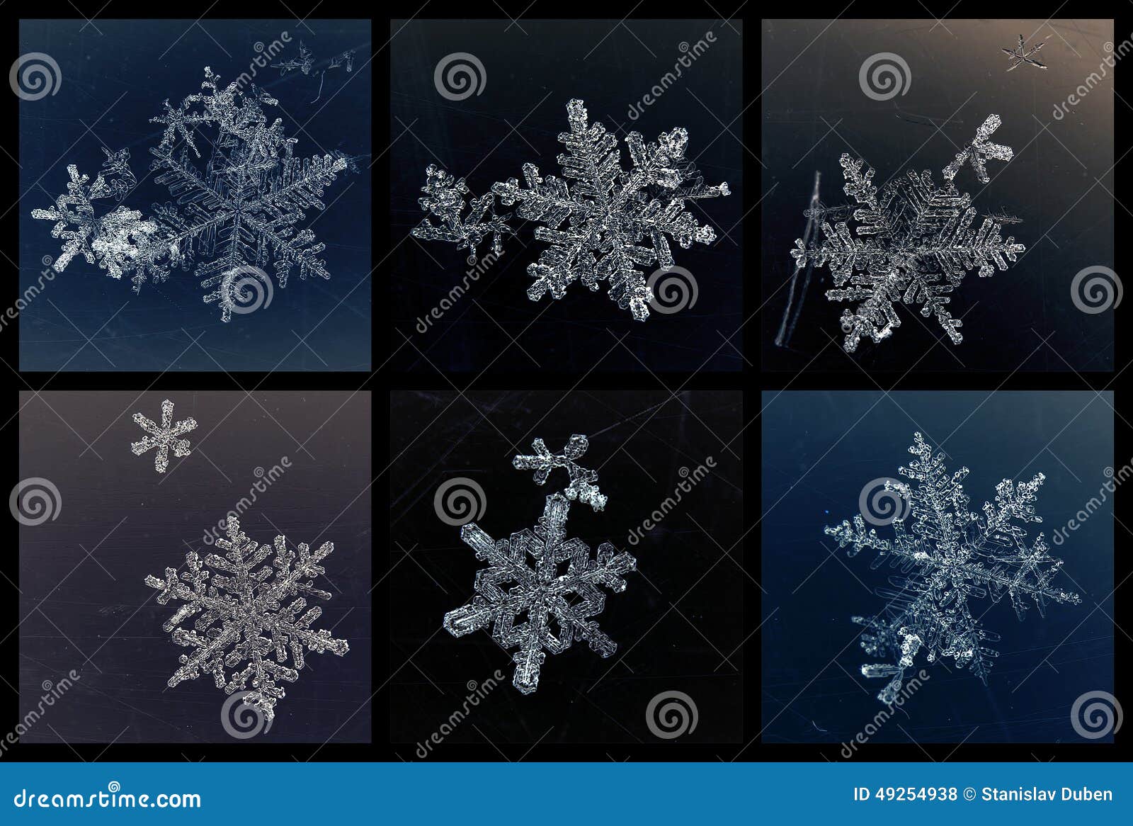 Set of six snowflakes stock photo. Image of christmas - 49254938