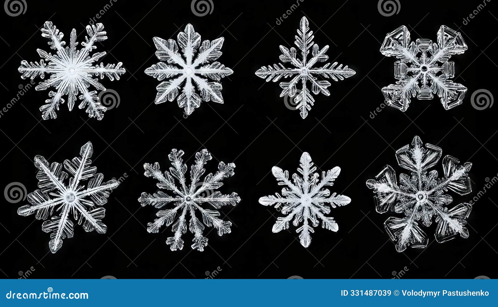 A Set of Six Snowflakes on a Black Background Stock Image - Image of ...