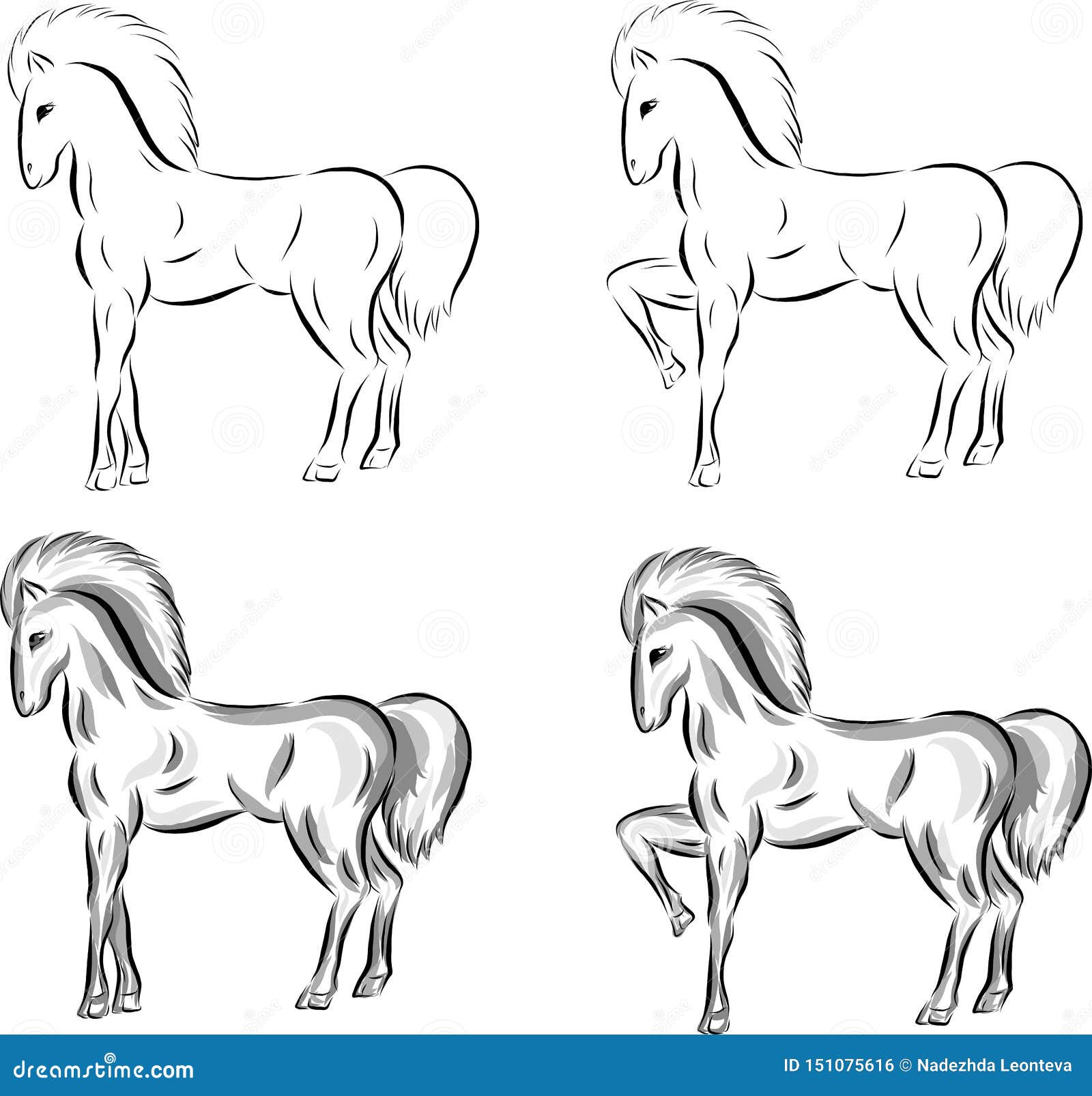 Set of Sketch Vector Stallions Stock Illustration - Illustration of ...