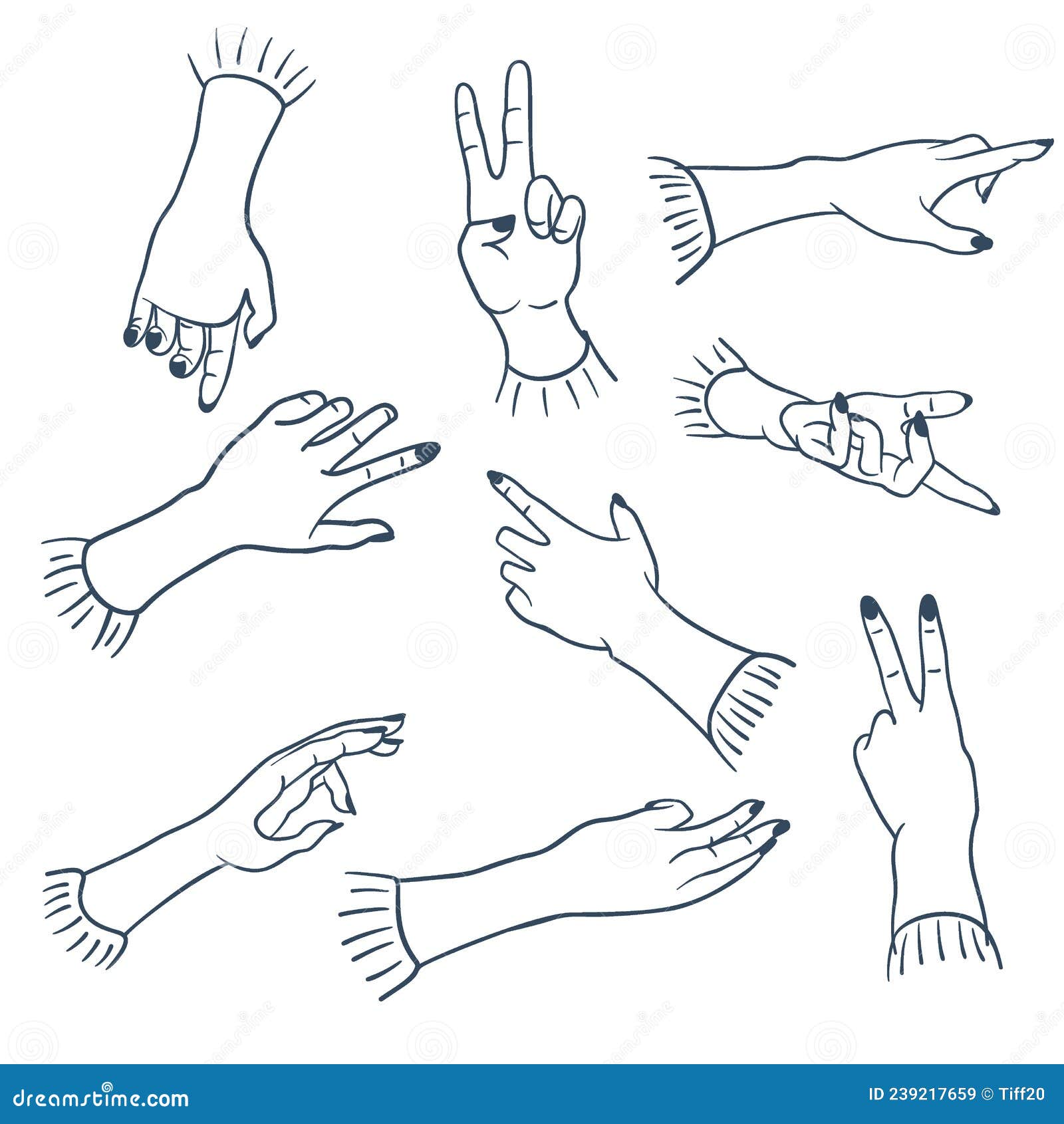 A Set of Sketches of Hands in Different Positions Stock Vector ...