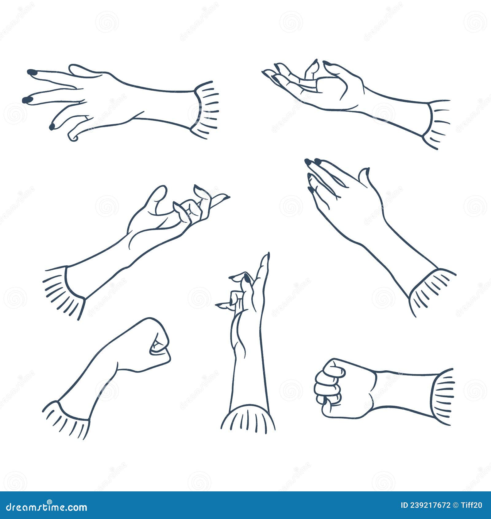 Set Of Sketches Of Hands In Different Positions. Vector Illustration ...