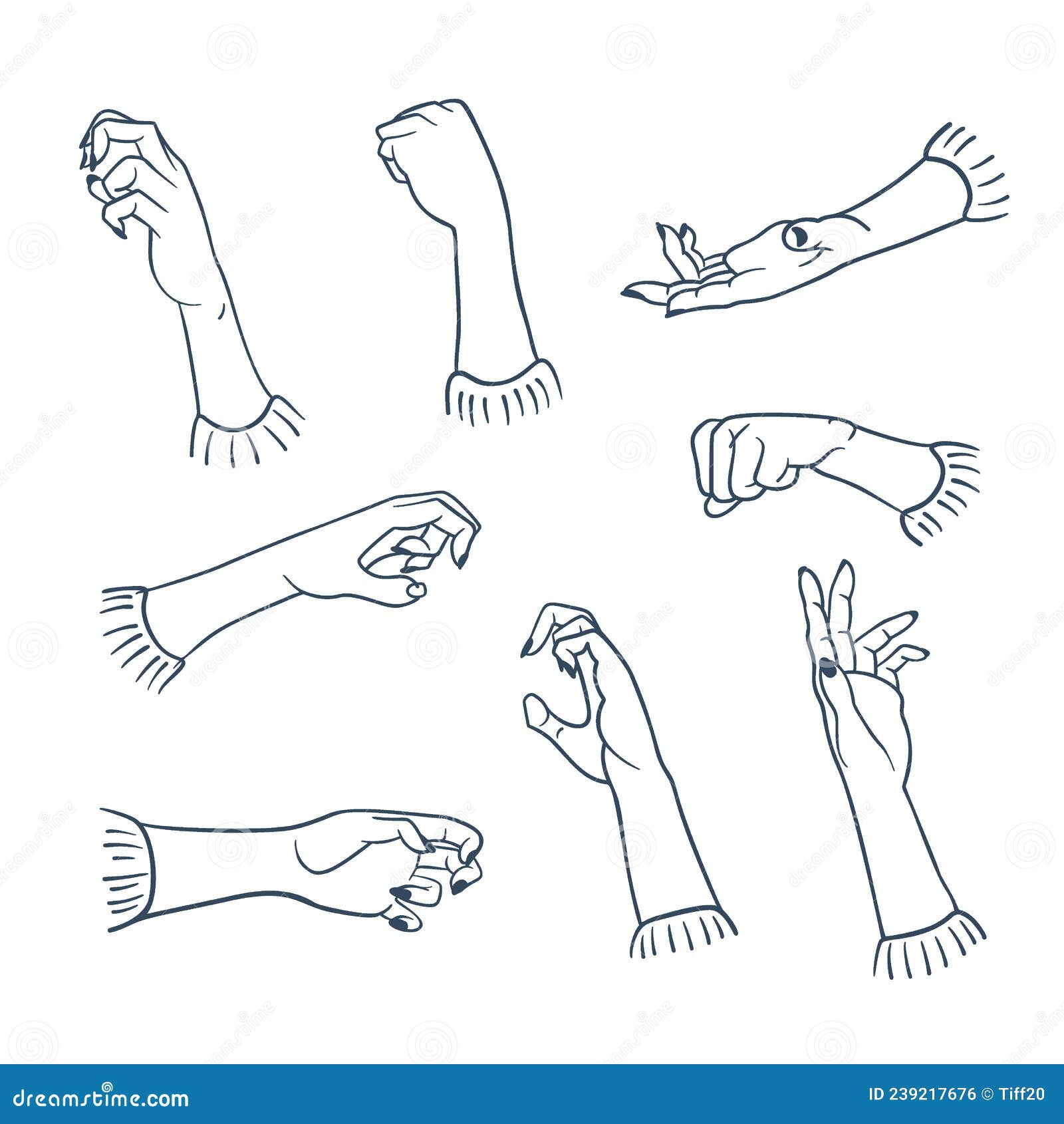 A Set of Sketches of Hands in Different Positions Stock Vector ...